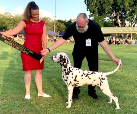 Paceaway Blue Label - Owned by David Staines