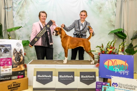 Junior Handlers Competition 2024