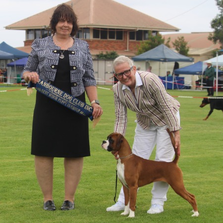 Rampid The Countess of Kesdar - Owned by Jen Davis & Helen Keele