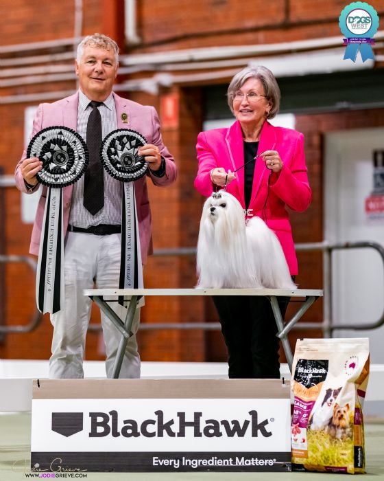 PENDER | Registered Dog Breeder in WA