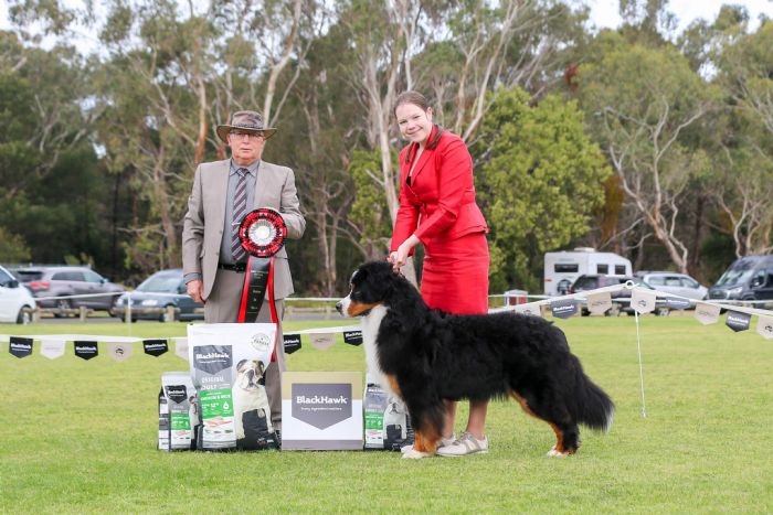 CH Zollikon To The Moon And Back - Owned by Monique & Susan Dunne ...