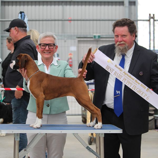 Rampid The Countess of Kesdar - Owned by Jen Davis & Helen Keele