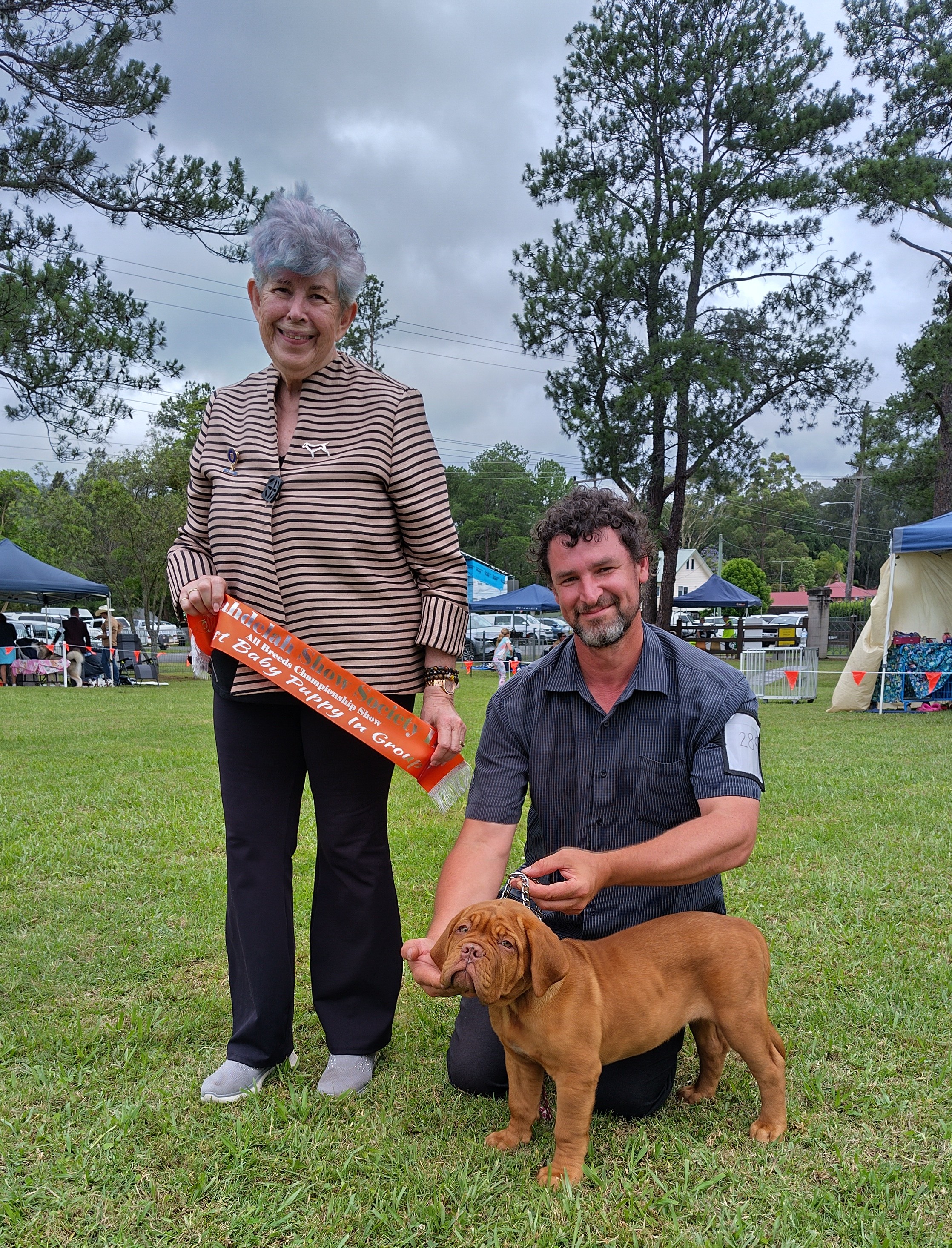 Dogubrute Sonic Boom Ai Dogue de Bordeaux - Owned by Douglas Burt