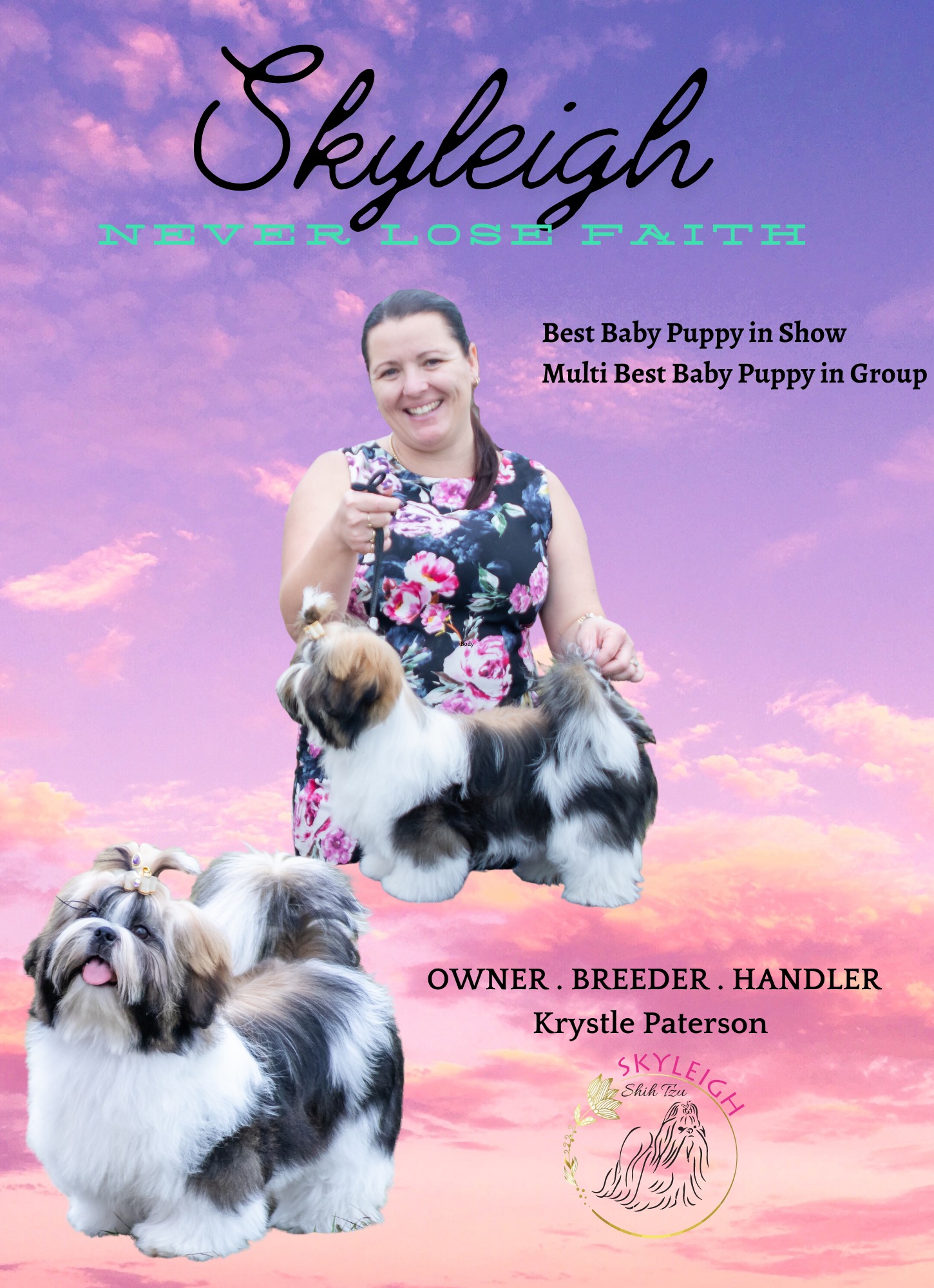 Aus Ch Skyleigh Never Lose Faith Shih Tzu - Owned by Mrs K Paterson
