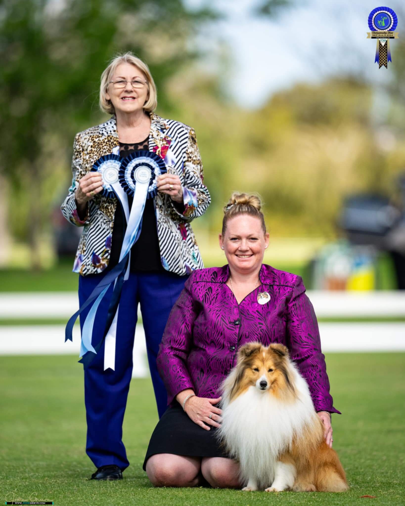 Supreme Champion Kilwarrin Playing On Shetland Sheepdog - Owned by Ms J ...