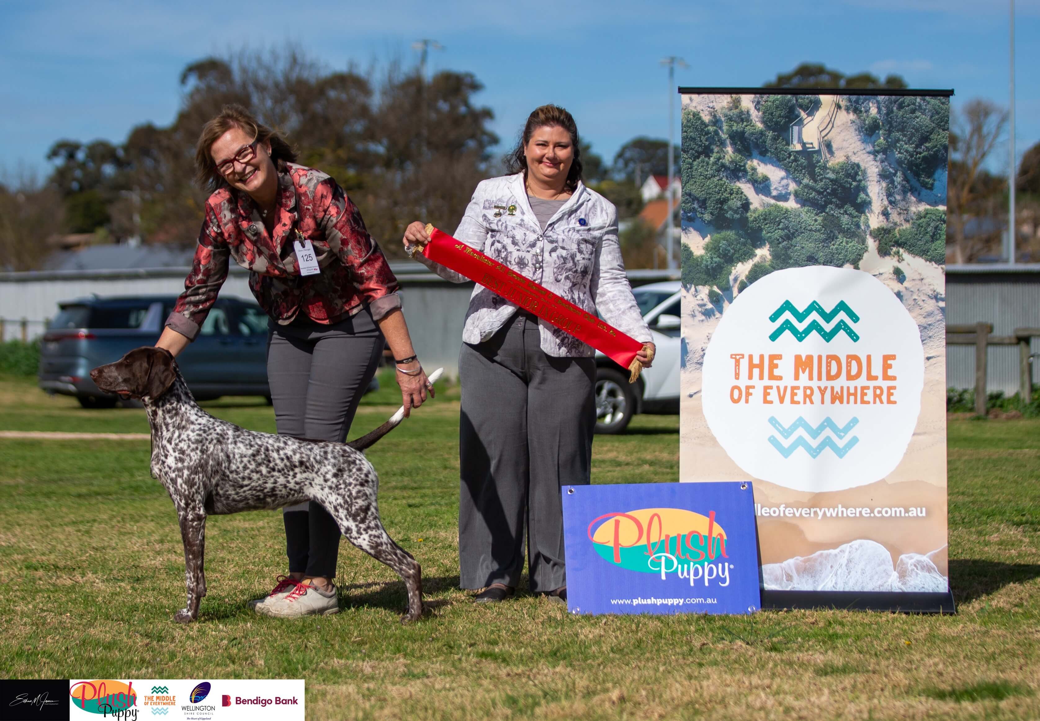 Australian Champion Kobidan You Know Who (AI) German Shorthaired ...