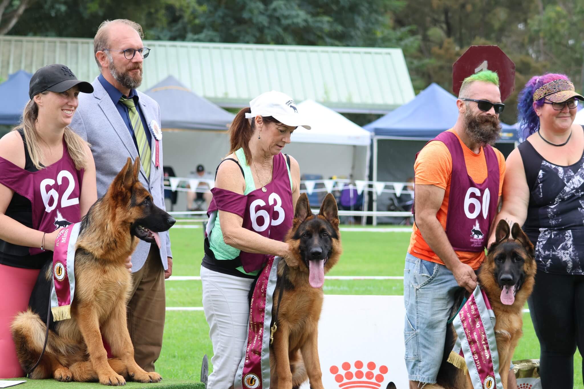 Sundaneka Taizo German Shepherd Dog - Owned by GD & KM Stevenson