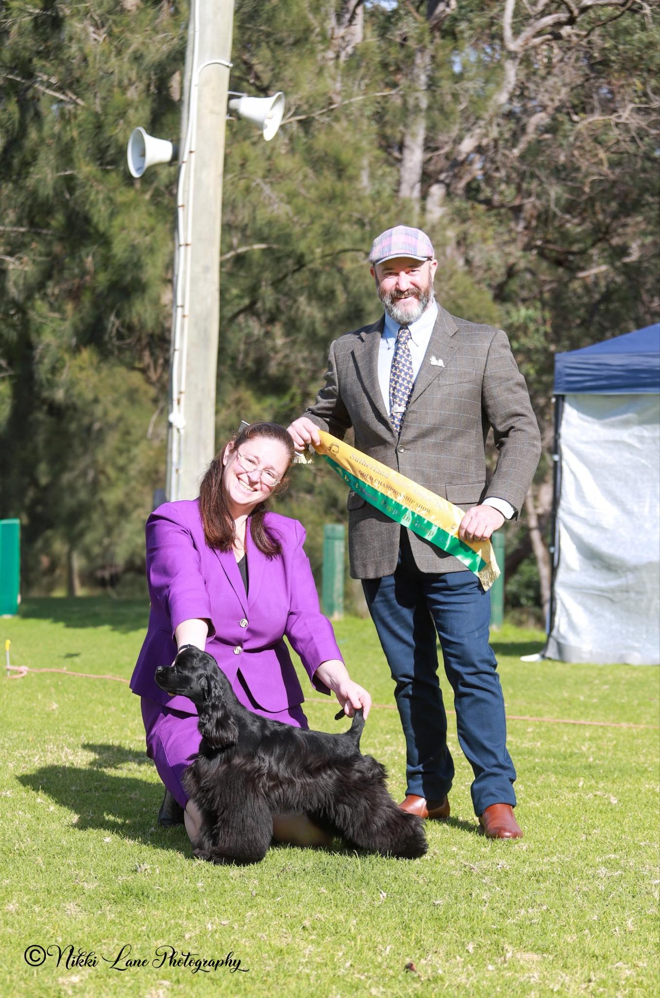 Aust Sup Ch Azel Ready to Serve Cocker Spaniel (American) - Owned by ...