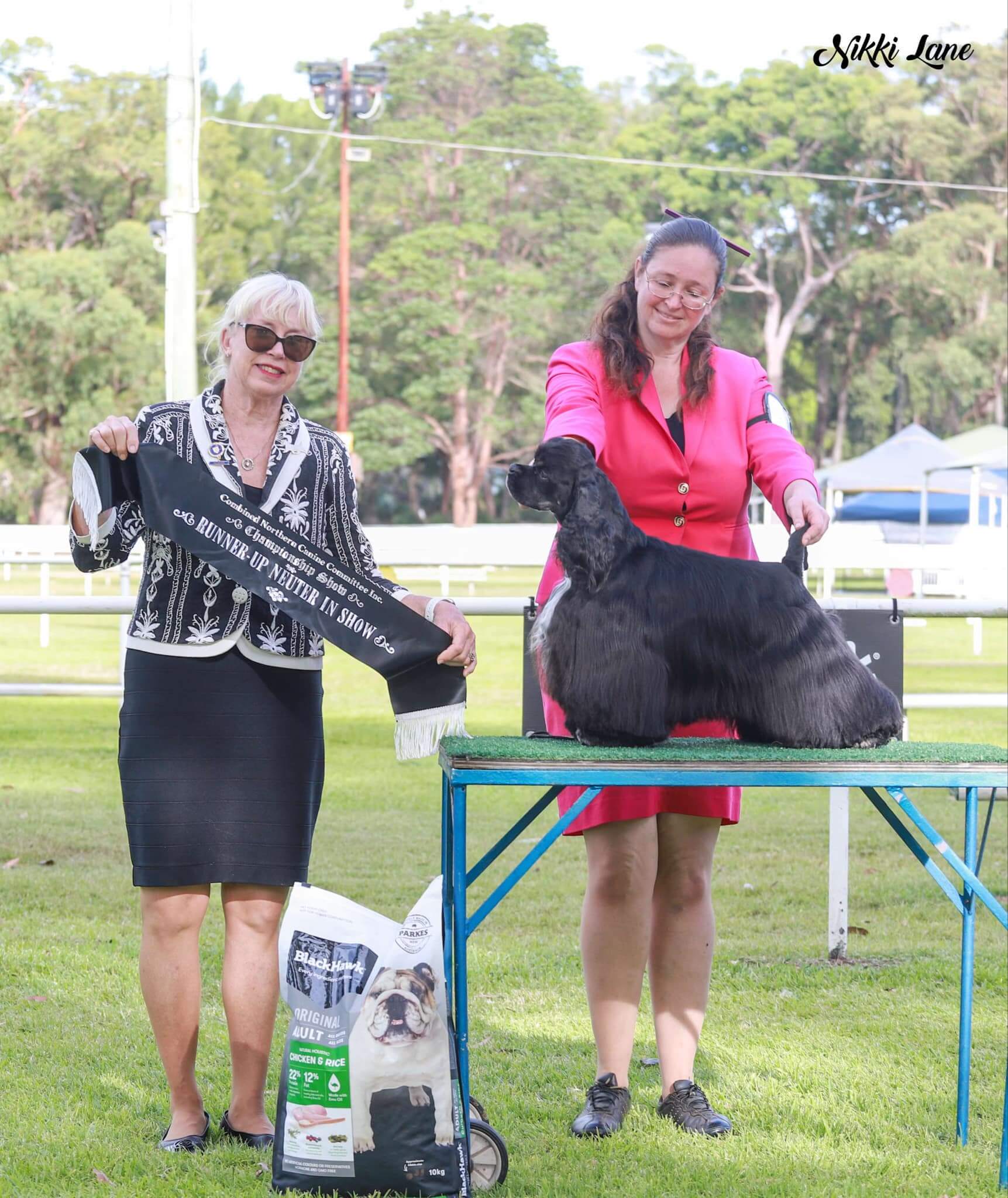 Aust Ch Sunfire My Game to Play Cocker Spaniel (American) - Owned by Helen Roberts