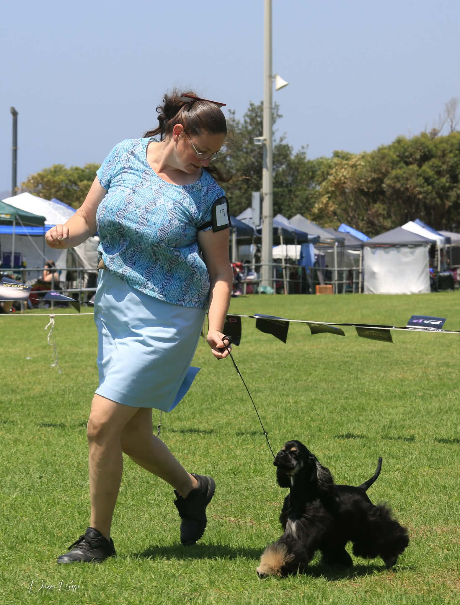 Aust Ch Azel Princess Royal Cocker Spaniel (American) - Owned by ...