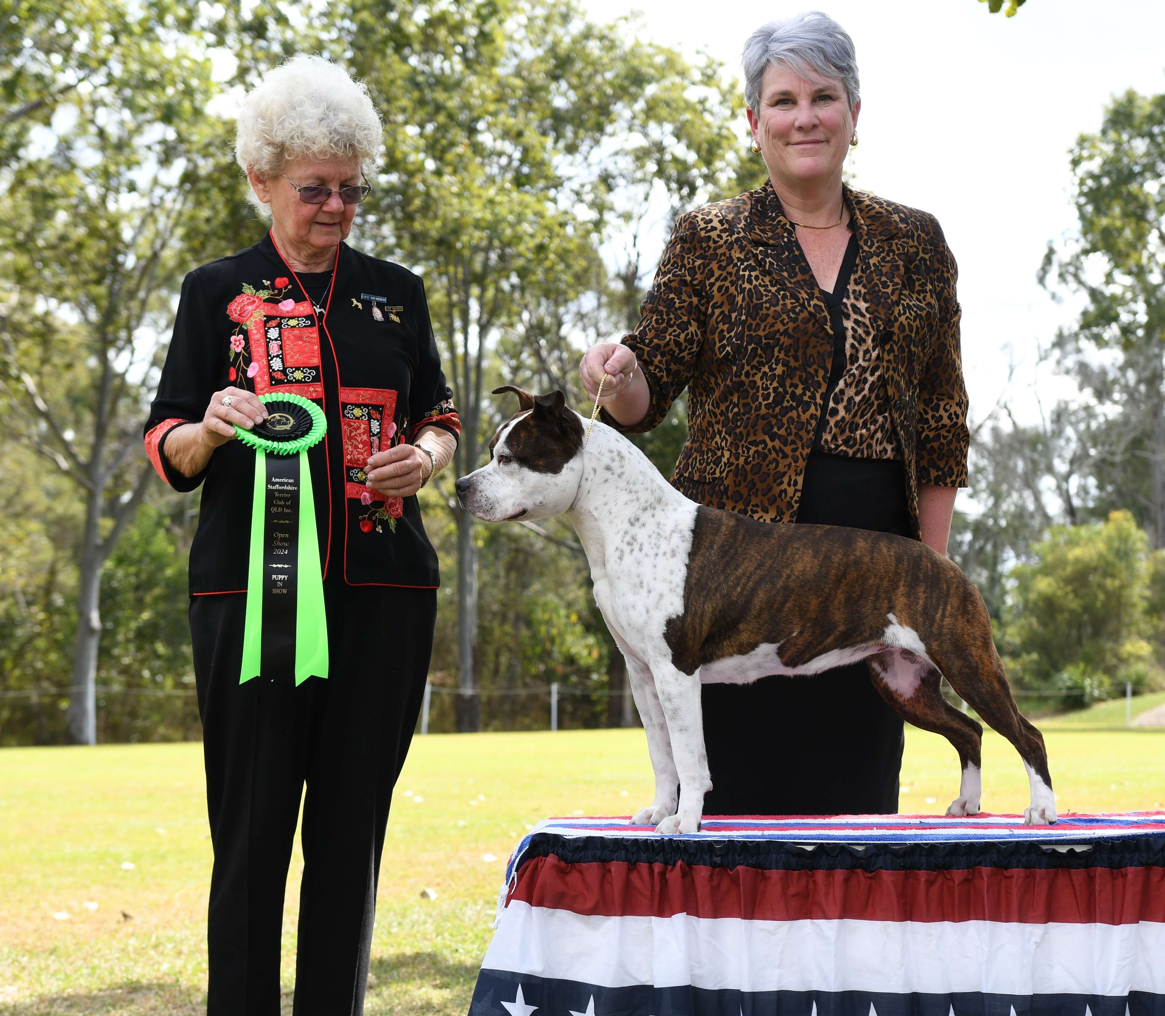 MRBIS AUST CH AmstarFX Created Undr Pressure DNA, Ataxia Clear By ...