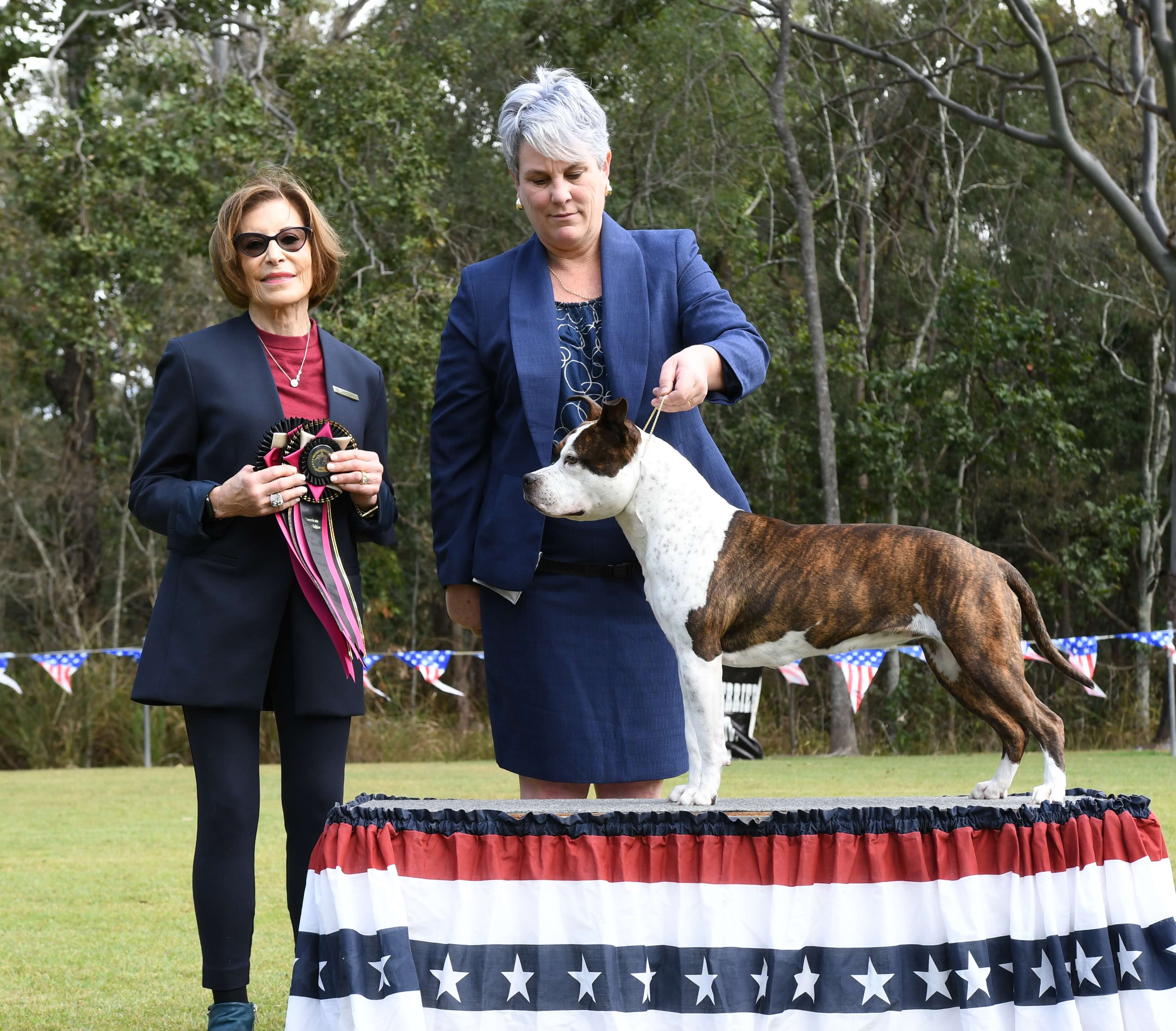 MRBIS AUST CH AmstarFX Created Undr Pressure DNA, Ataxia Clear By ...