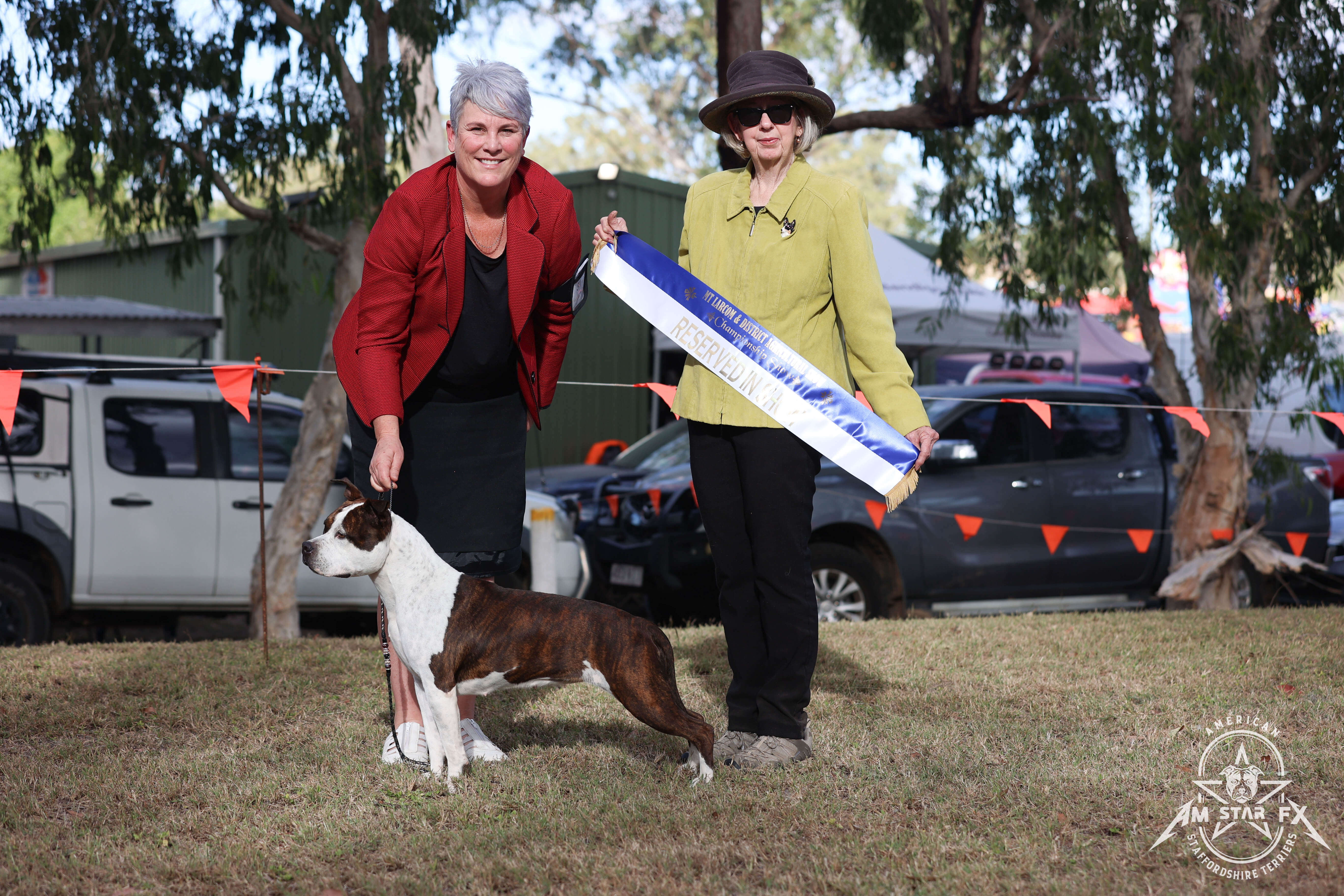 MRBIS AUST CH AmstarFX Created Undr Pressure DNA, Ataxia Clear By ...