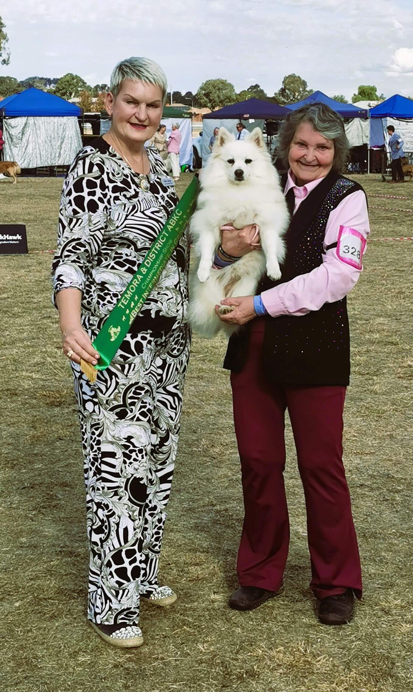 AUST Champion Chailee Cotton Candy German Spitz (Mittel) - Owned by ...