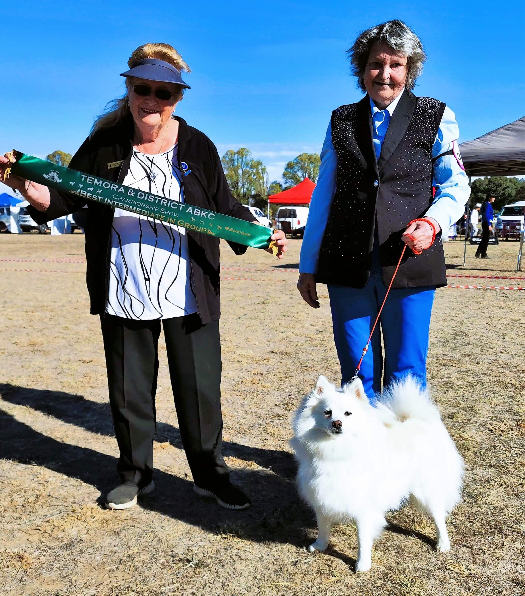AUST Champion Chailee Cotton Candy German Spitz (Mittel) - Owned by ...