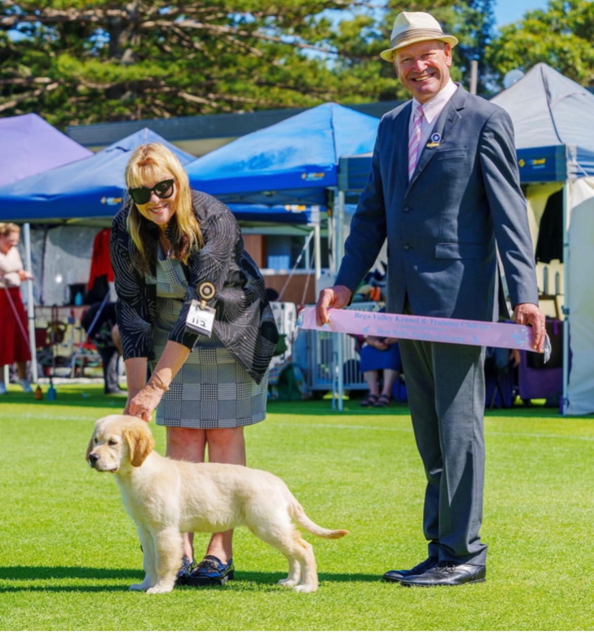 Aust Ch Harvikgold Easily Fired RN SWN Golden Retriever - Owned by ...