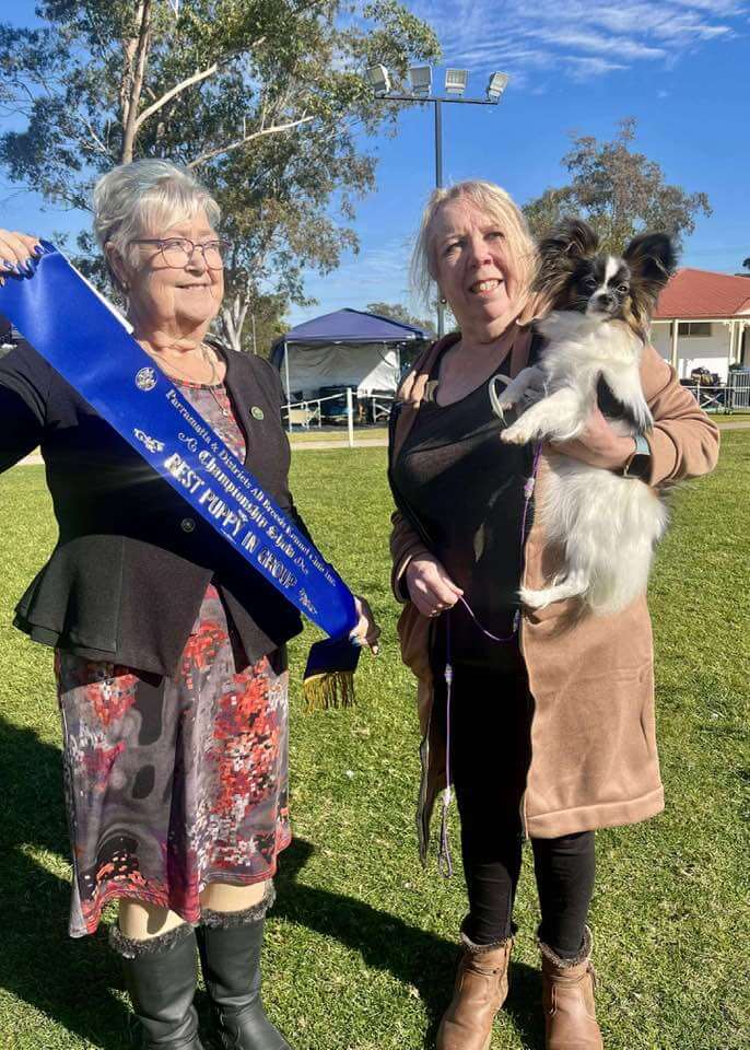 Mondelise Viking Princess Papillon - Owned by D.Marszal & S.Spooner