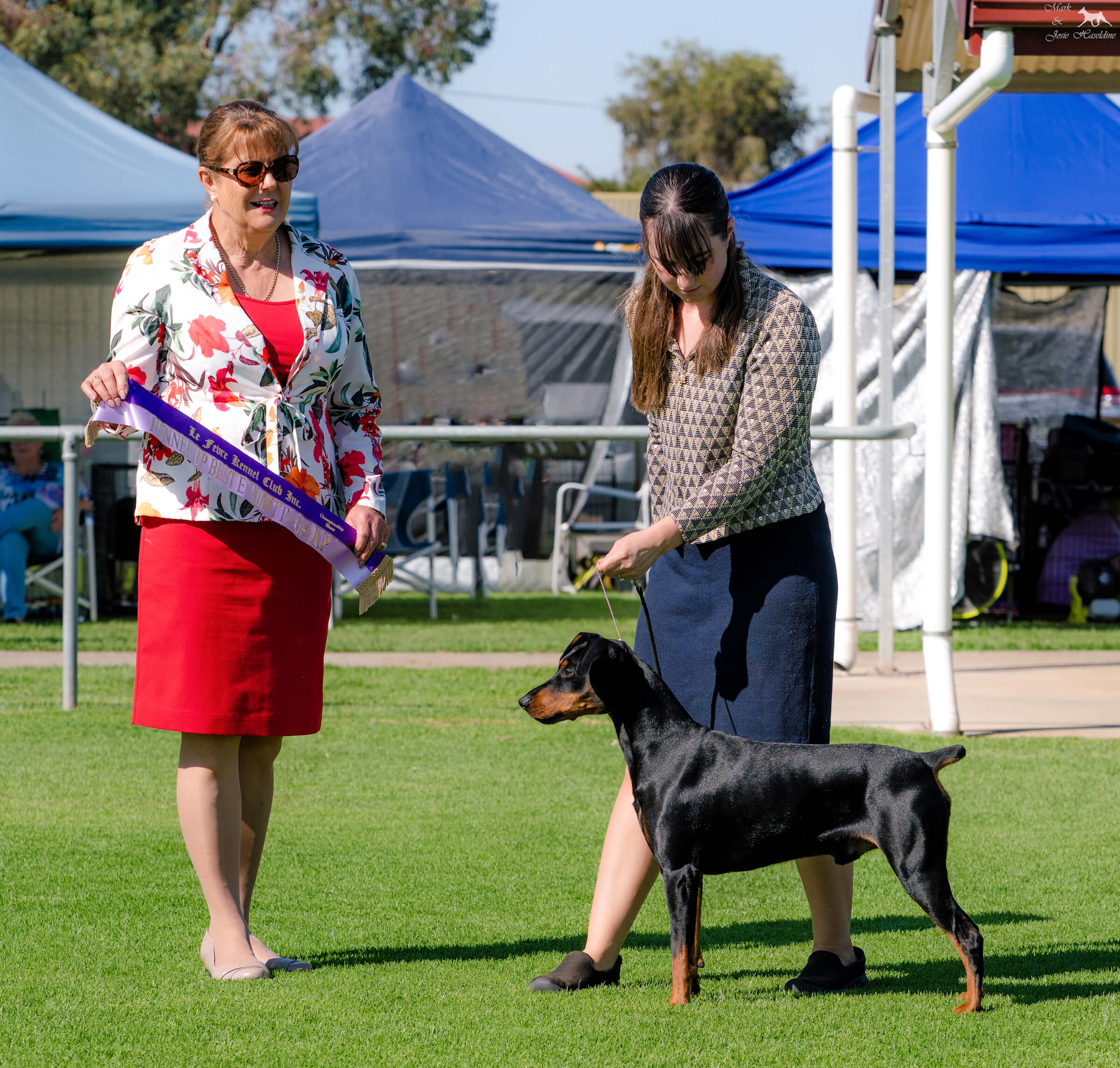 BIS, MRBIS, Australian Grand Champion Kaitler Playing With Fire German ...