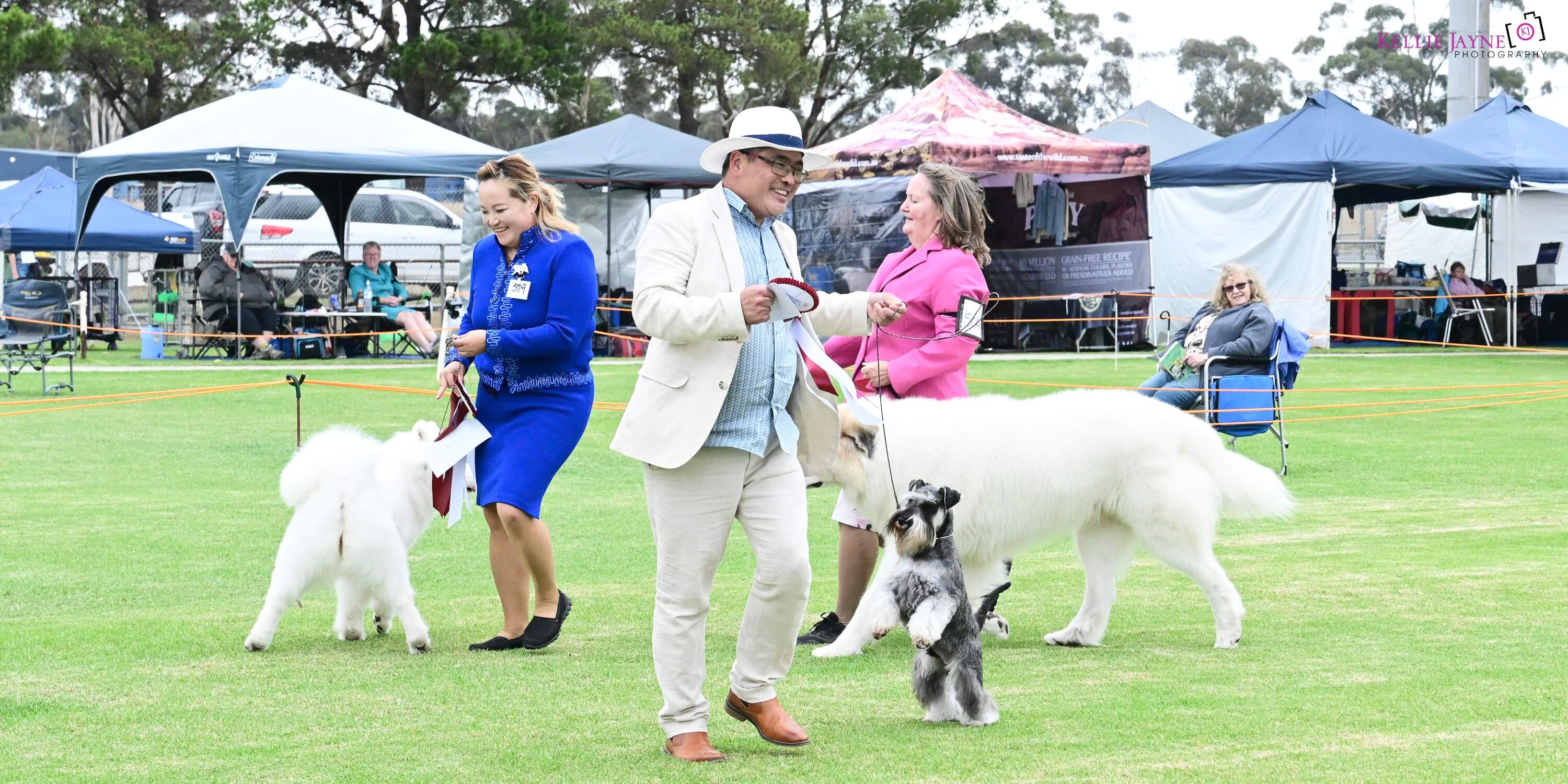 MBIS1, MBIG1, MBIG2 C.I.B-J, Australian Grand Champion Rushmere Sensei ...