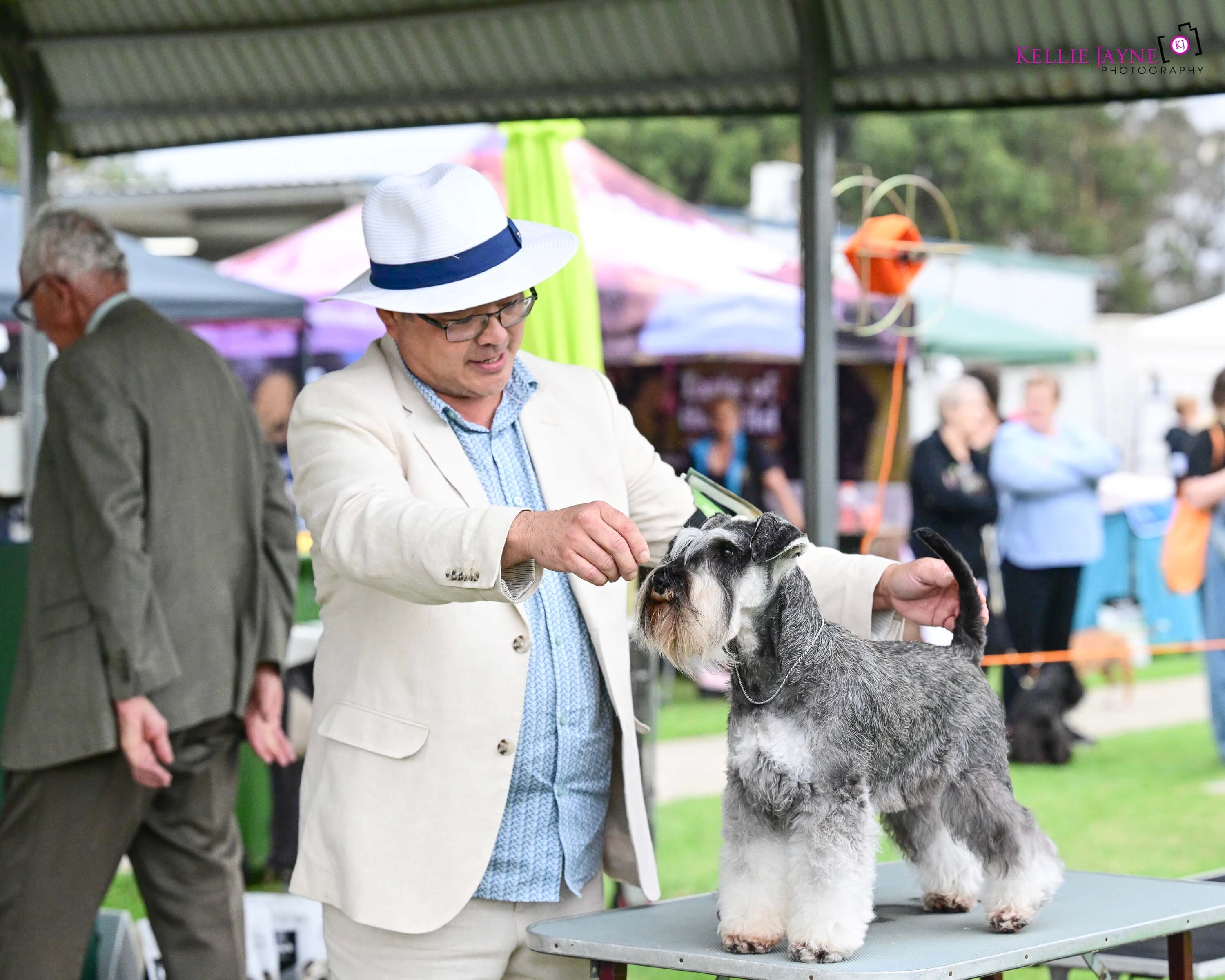 MBIS1, MBIG1, MBIG2 C.I.B-J, Australian Grand Champion Rushmere Sensei ...