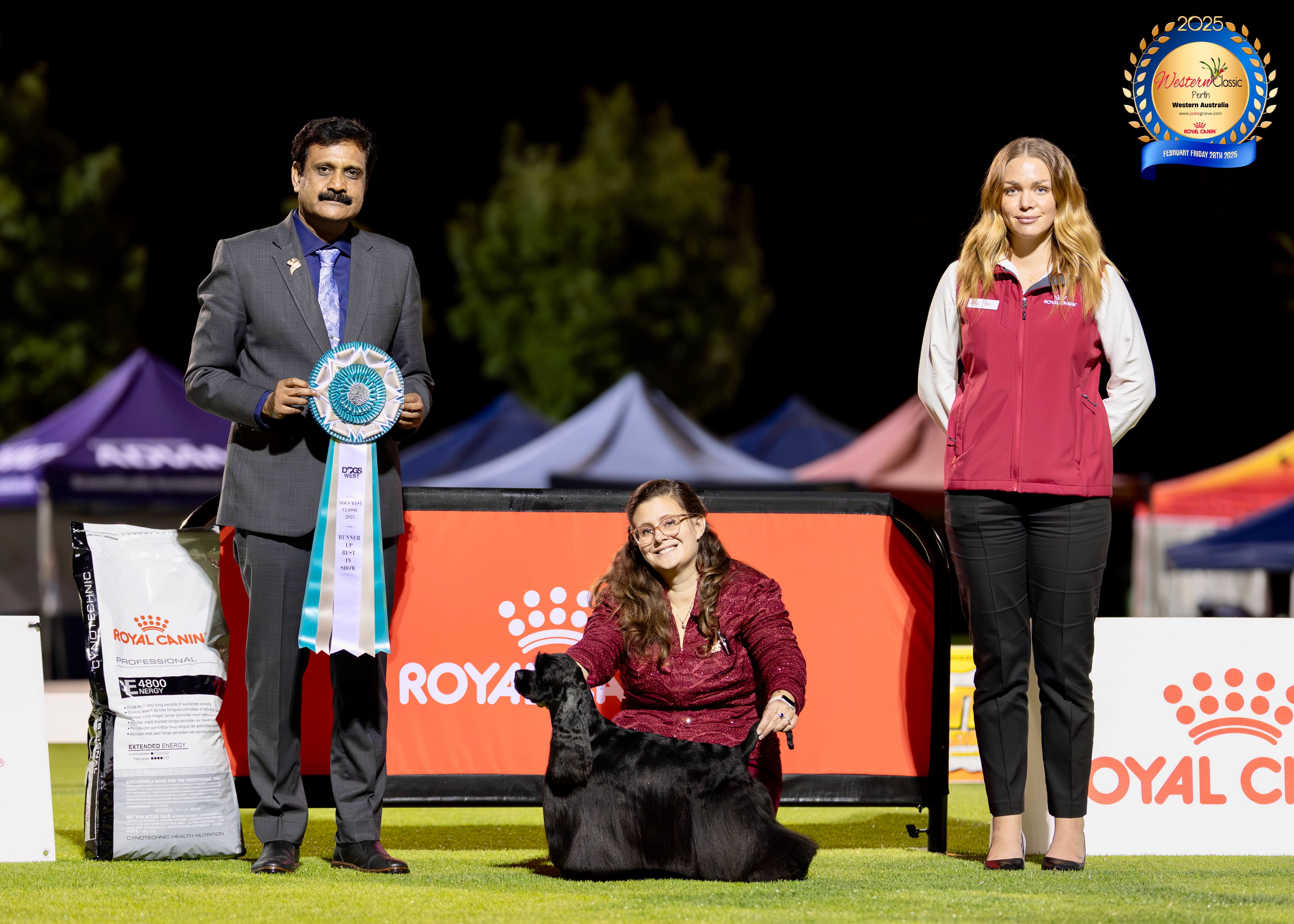 Supreme Ch Yambari Youll Never Walk Alone Cocker Spaniel (American ...