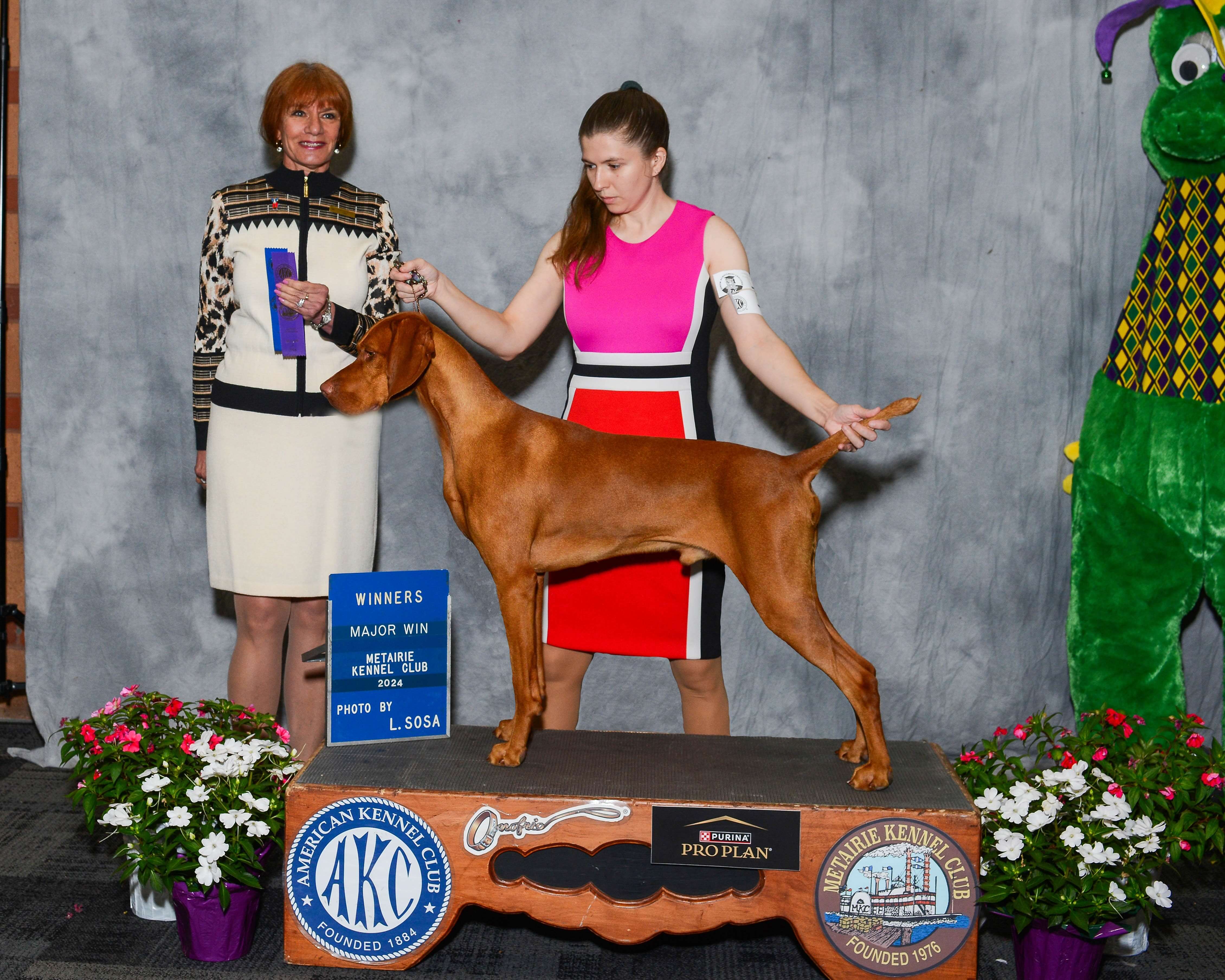 Am Ch Araileks Las Vegas Magic Show BCAT CGC TKN ATT (Frozen Semen)