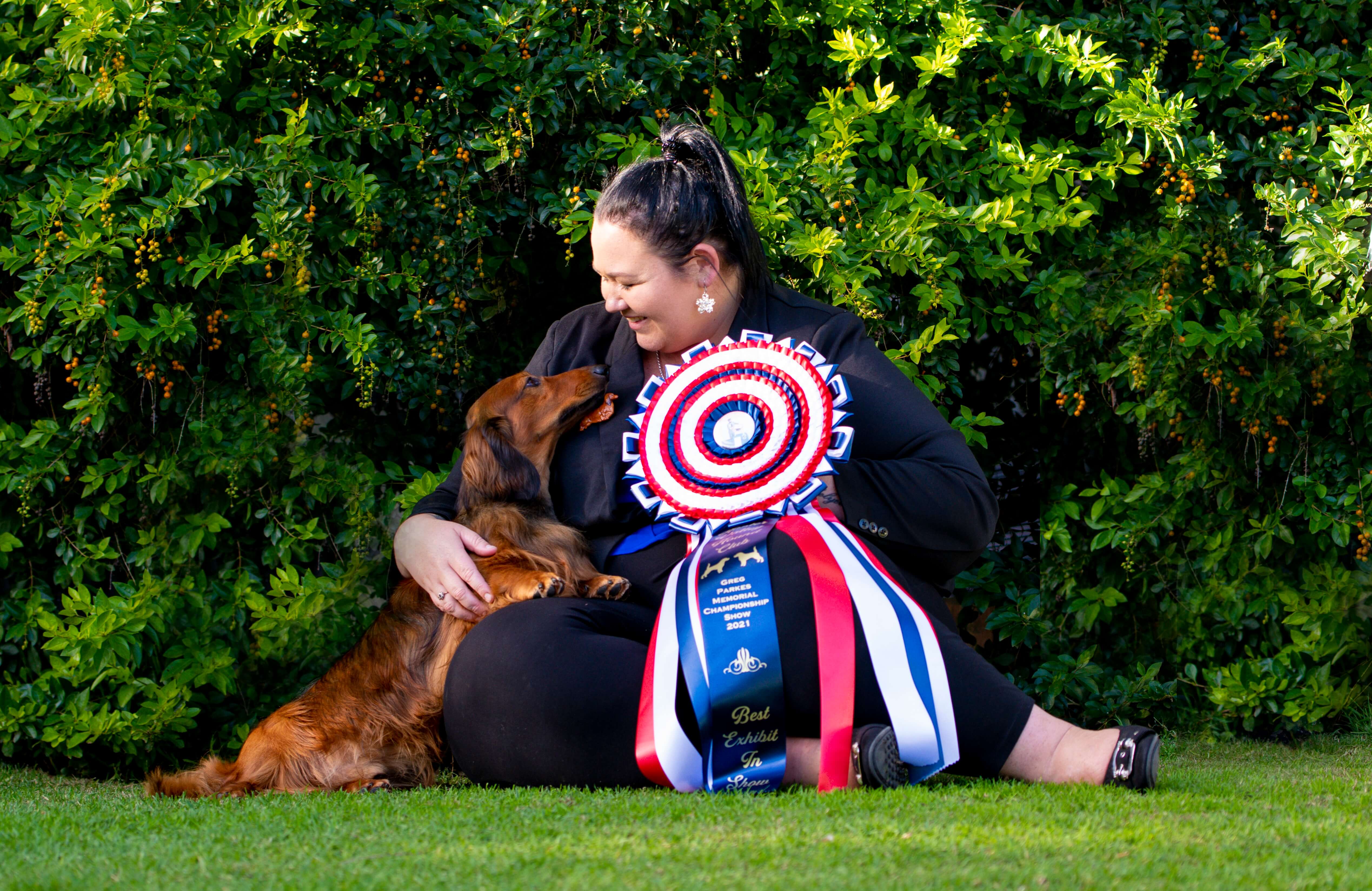 SUP.CH.C.I.B. A2O CH Dachyclan Tyrone Of Bridee Dachshund (Long Haired ...