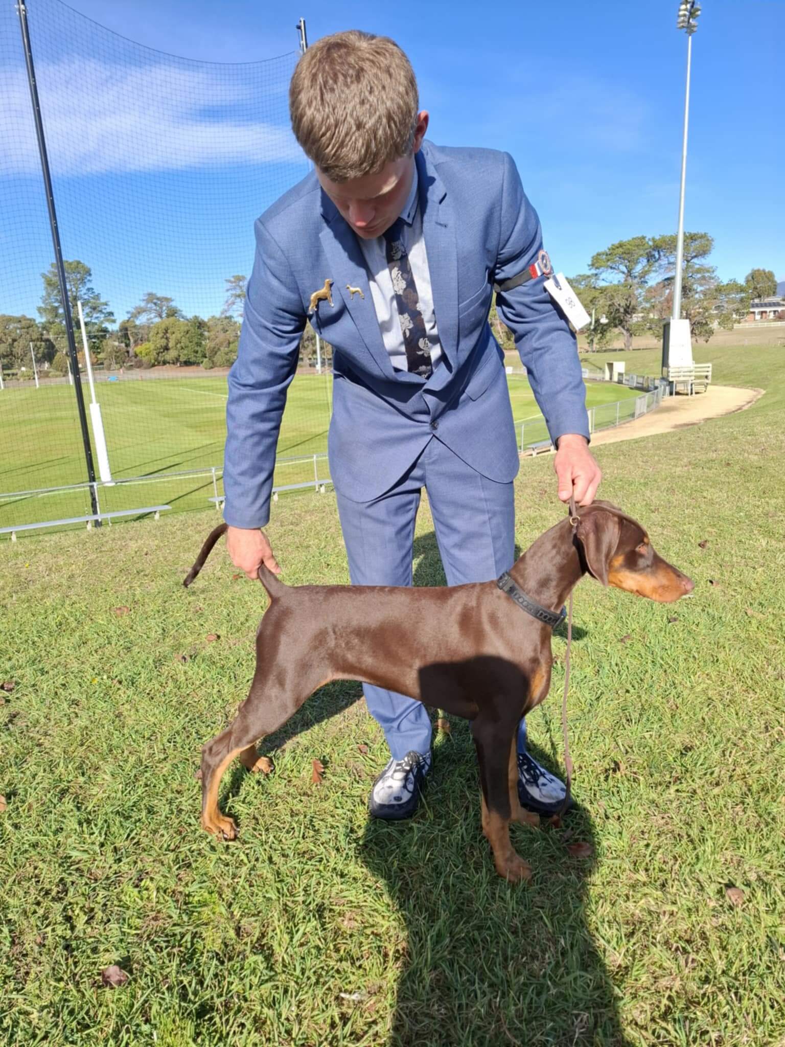 Bravadobe Iron Maiden Dobermann - Owned by Ms. Catherine Heaney