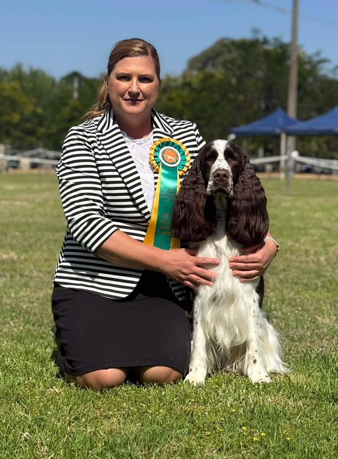 Aust Ch. Burchfield Modesty Blaise English Springer Spaniel - Owned by ...