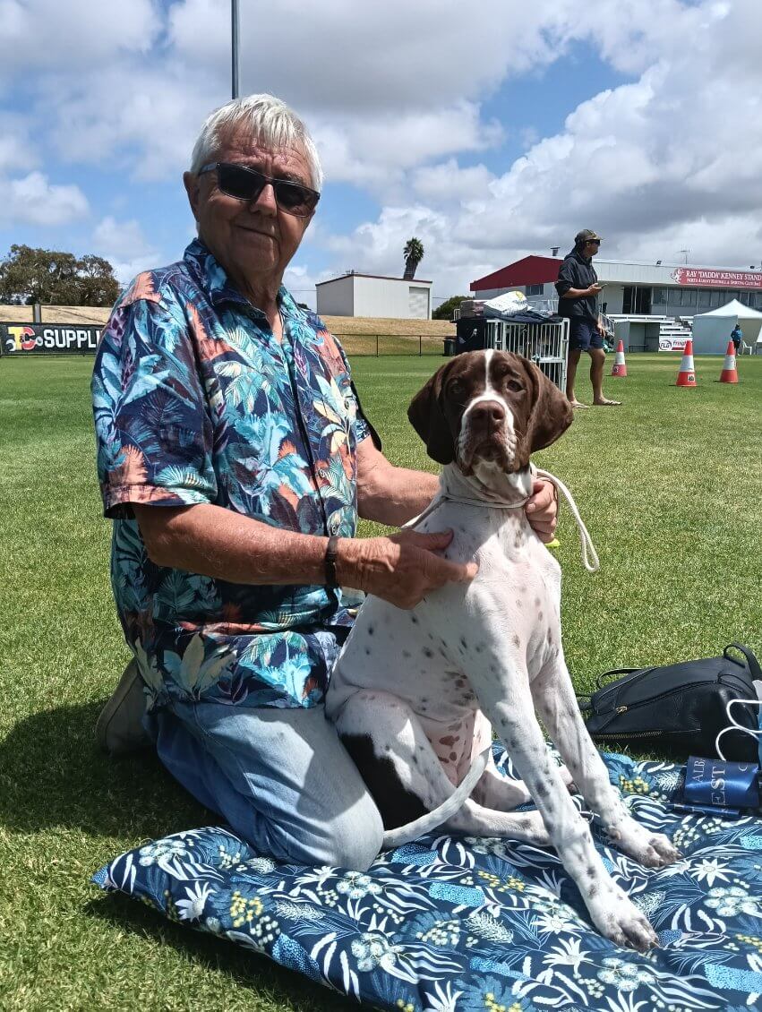 Zuhraan Hot Shot At Rosepenny Pointer - Owned by Carol Dugmore