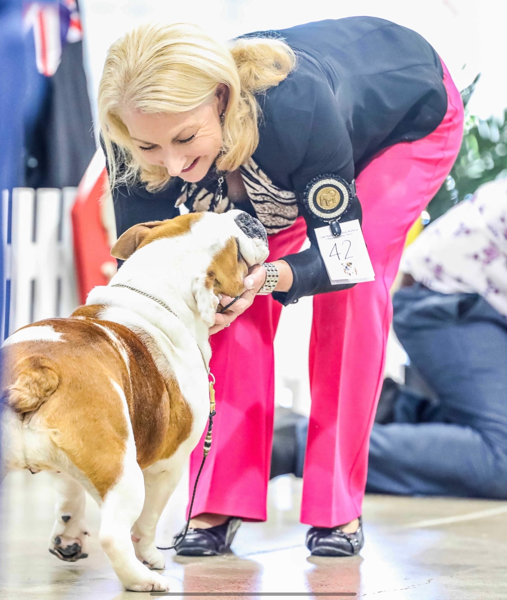 Aust Champion Embllem Rave N Ready (AI) British Bulldog - Owned by Rick ...
