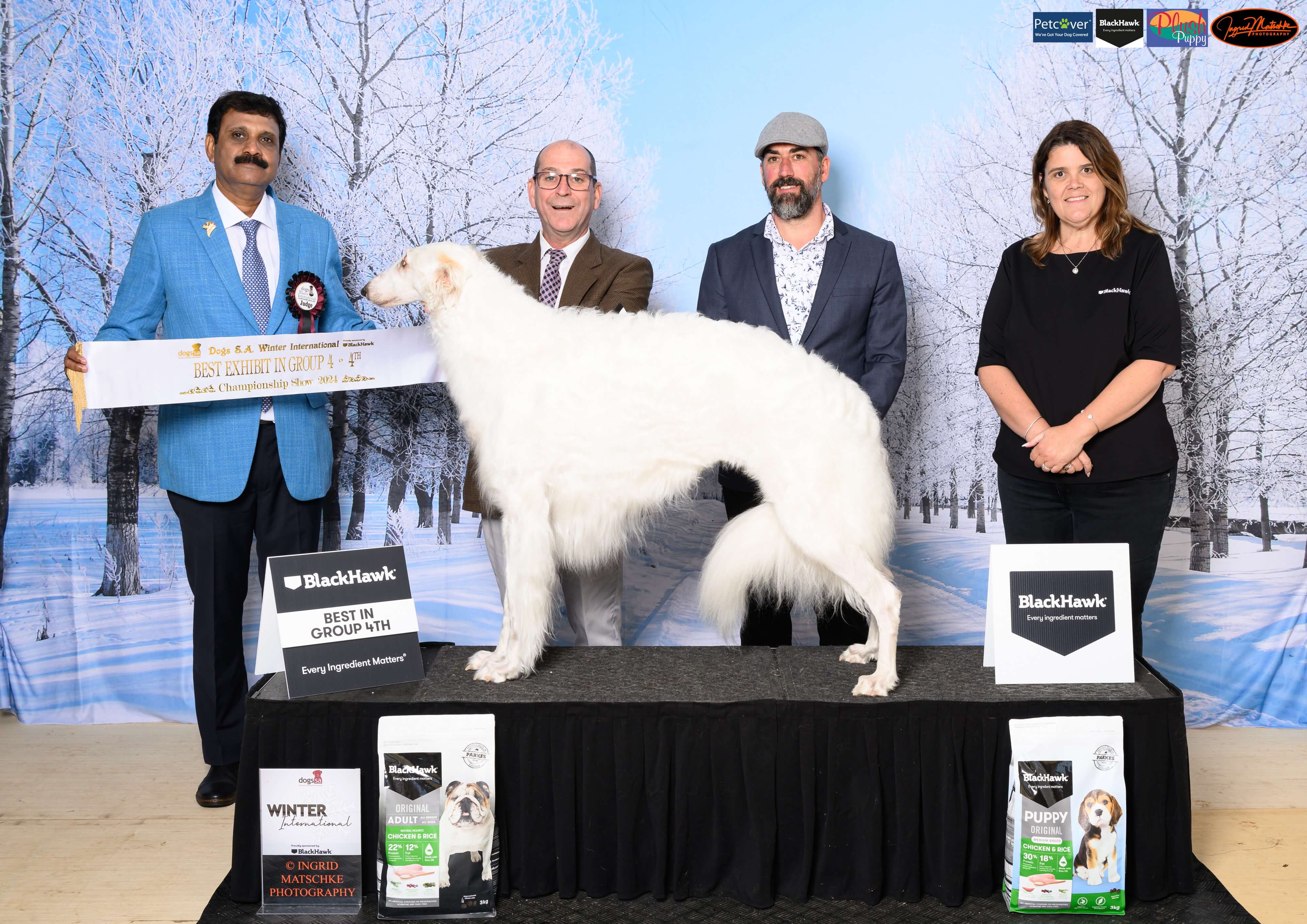 Champion Mistraka Anita ODay (AI) Borzoi - Owned by P Cottrell & R Moag