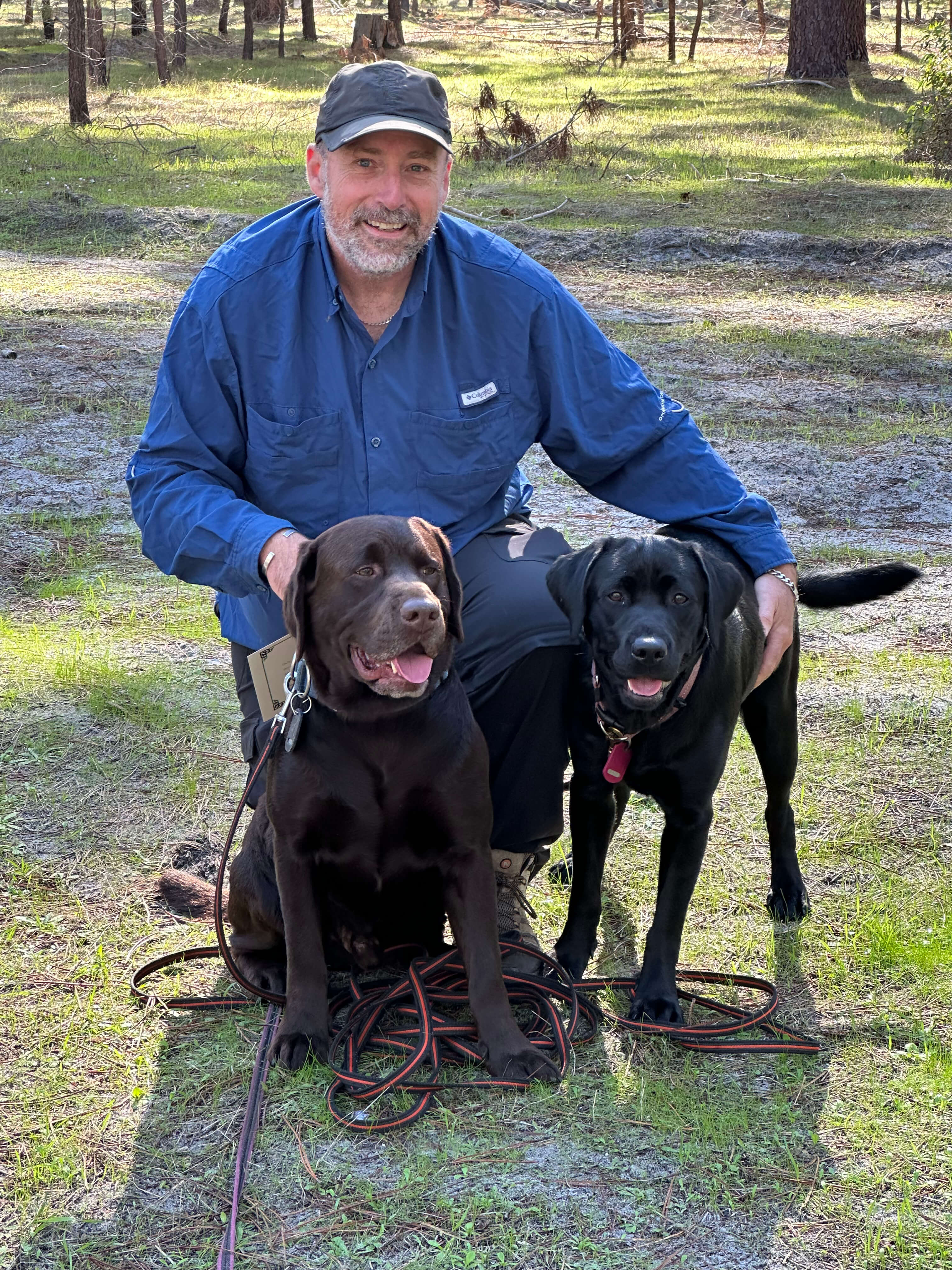 Td. Astrolab Azymuth Swn. Labrador Retriever - Owned by Audrey Margery ...