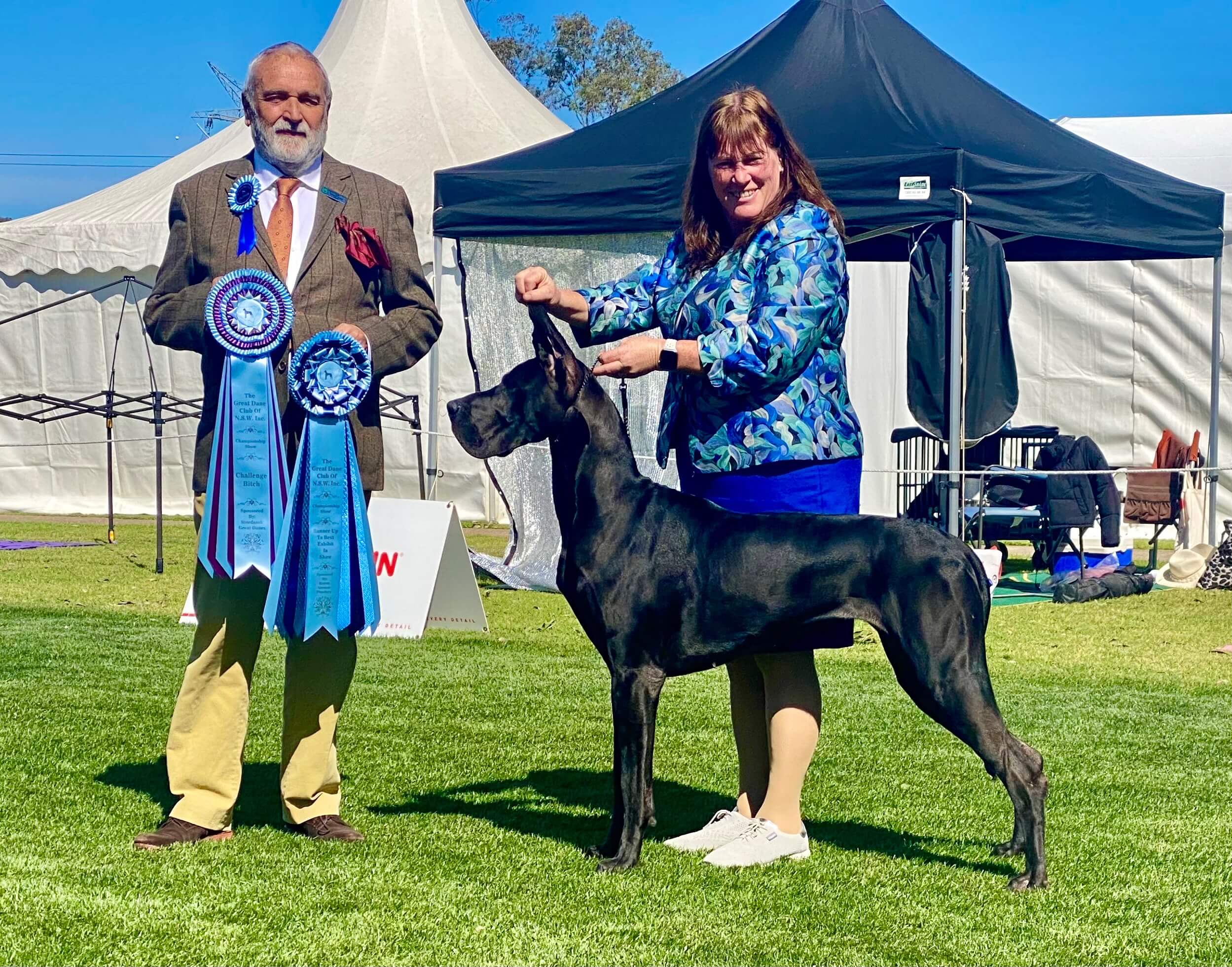 RUBISS Grand Ch Underane Kinetic Energy at Strykerdane (AI) Great Dane ...