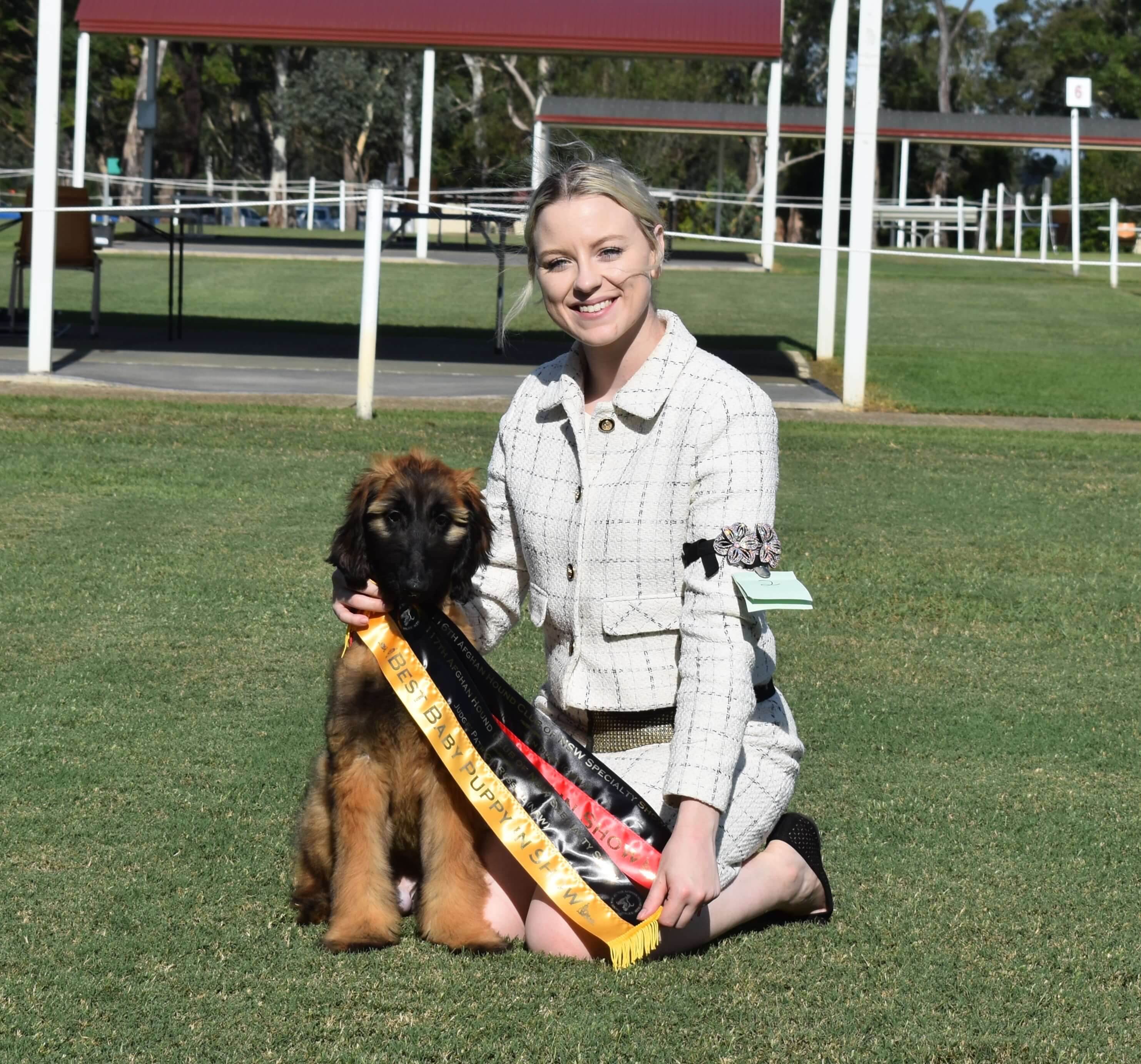 Australian Champion Ericcha Espresso Trooper (AI) Afghan Hound - Owned ...