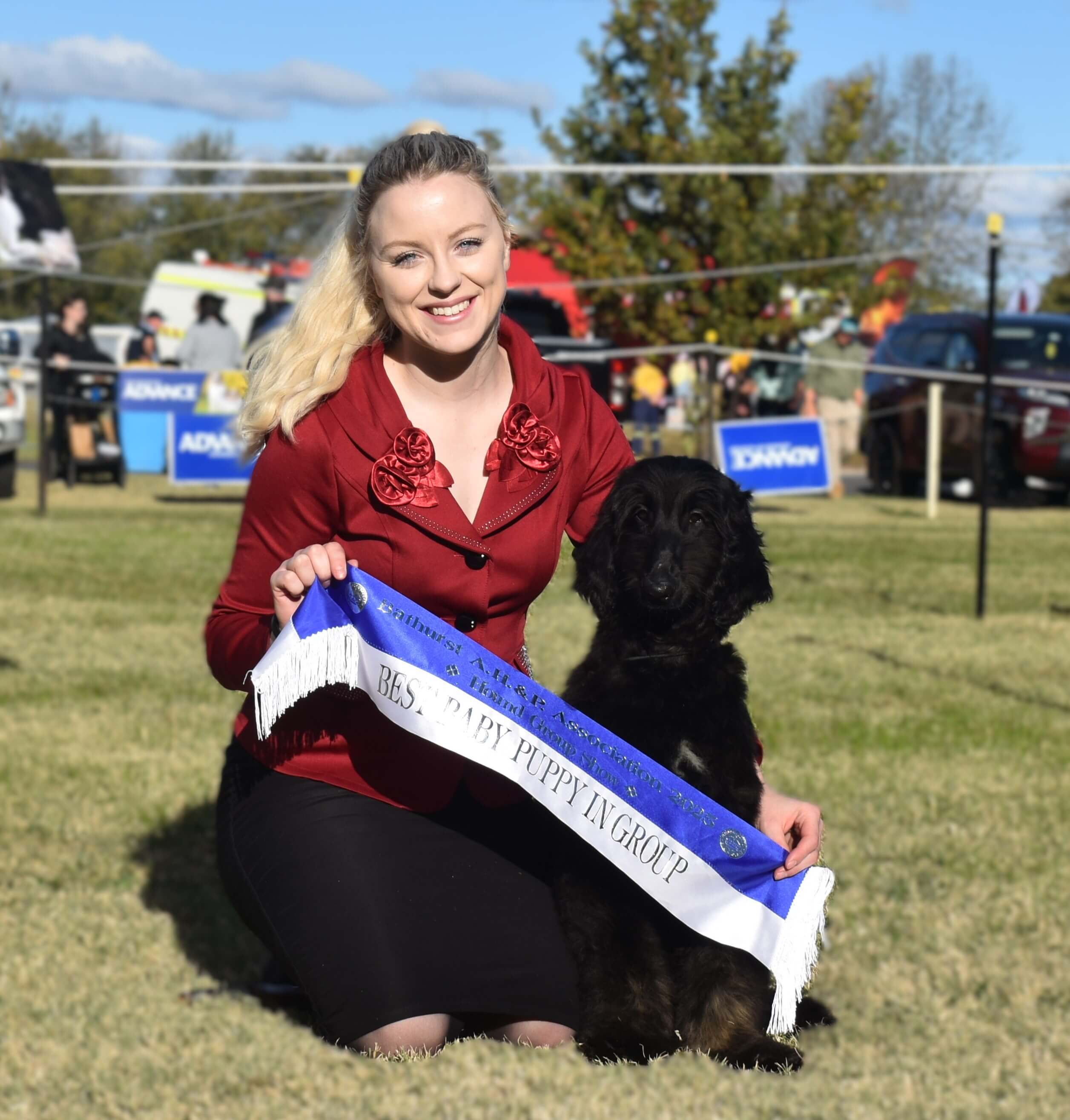 Ericcha Espresso Empire (AI) Afghan Hound - Owned by Erin Bray
