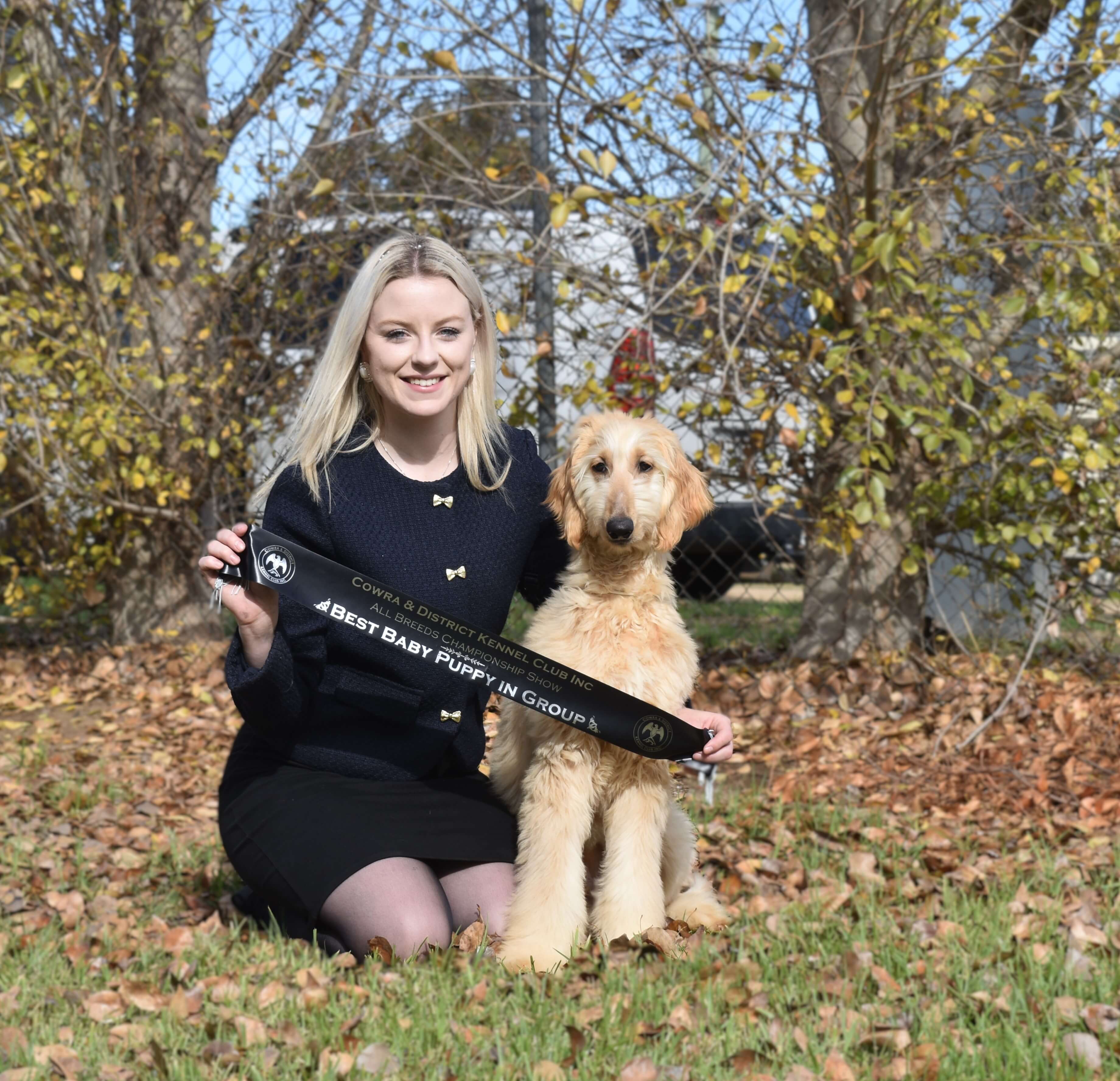 Ericcha Espresso Patronum (AI) Afghan Hound - Owned by Erin Bray