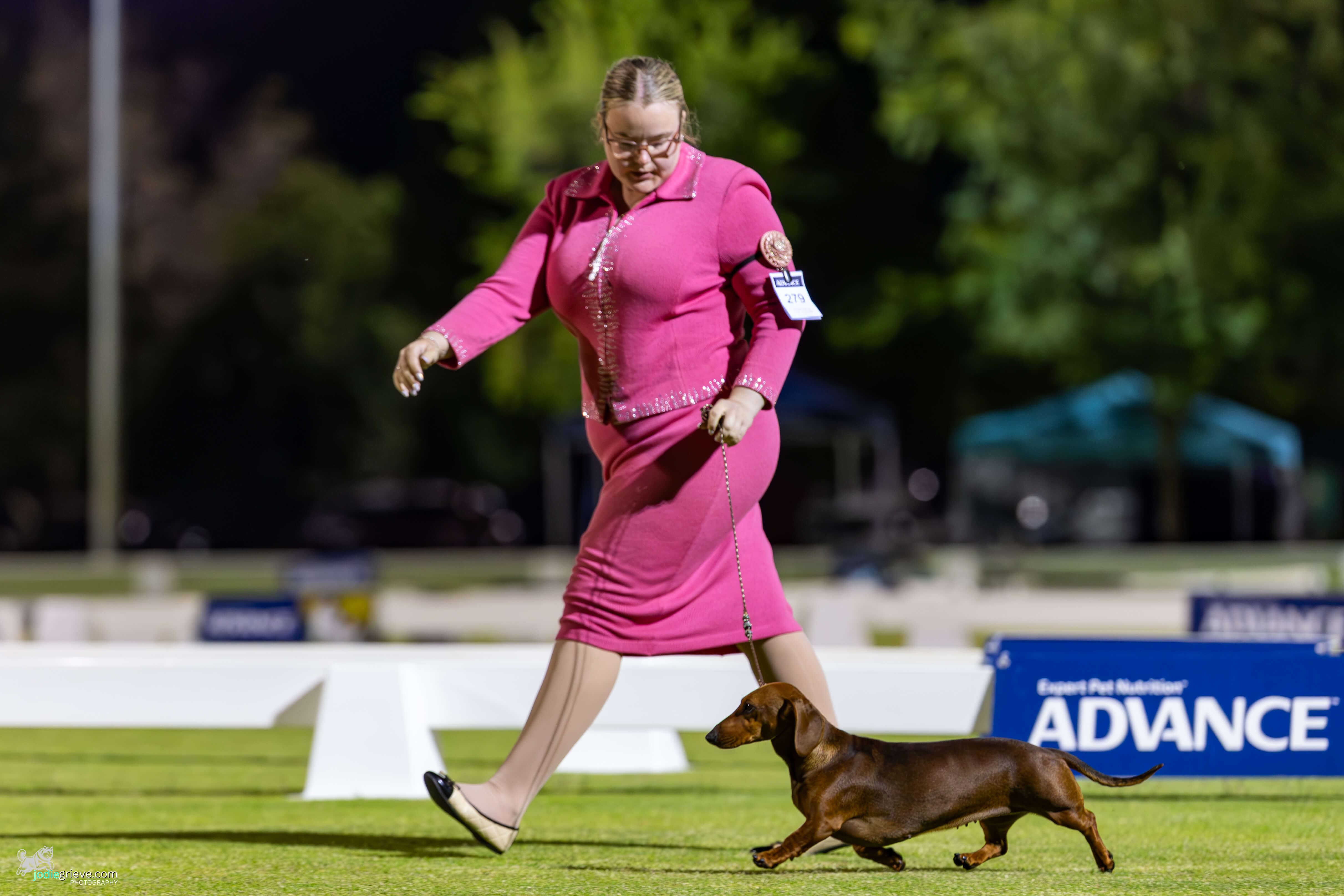 AUST CH Longnlow Who The F Is Alice Dachshund (Smooth Haired) - Owned ...