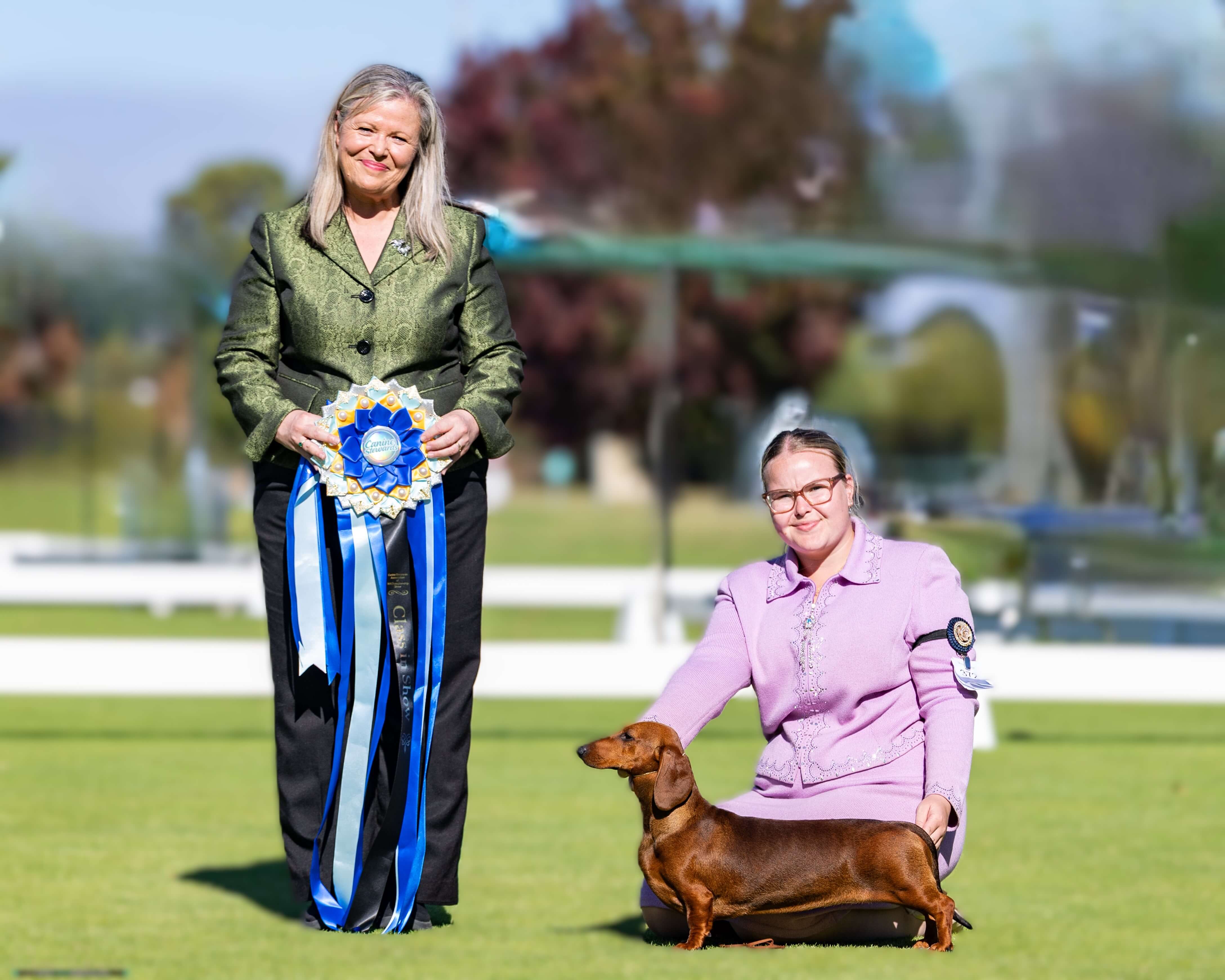 AUST CH Longnlow Who The F Is Alice Dachshund (Smooth Haired) - Owned ...