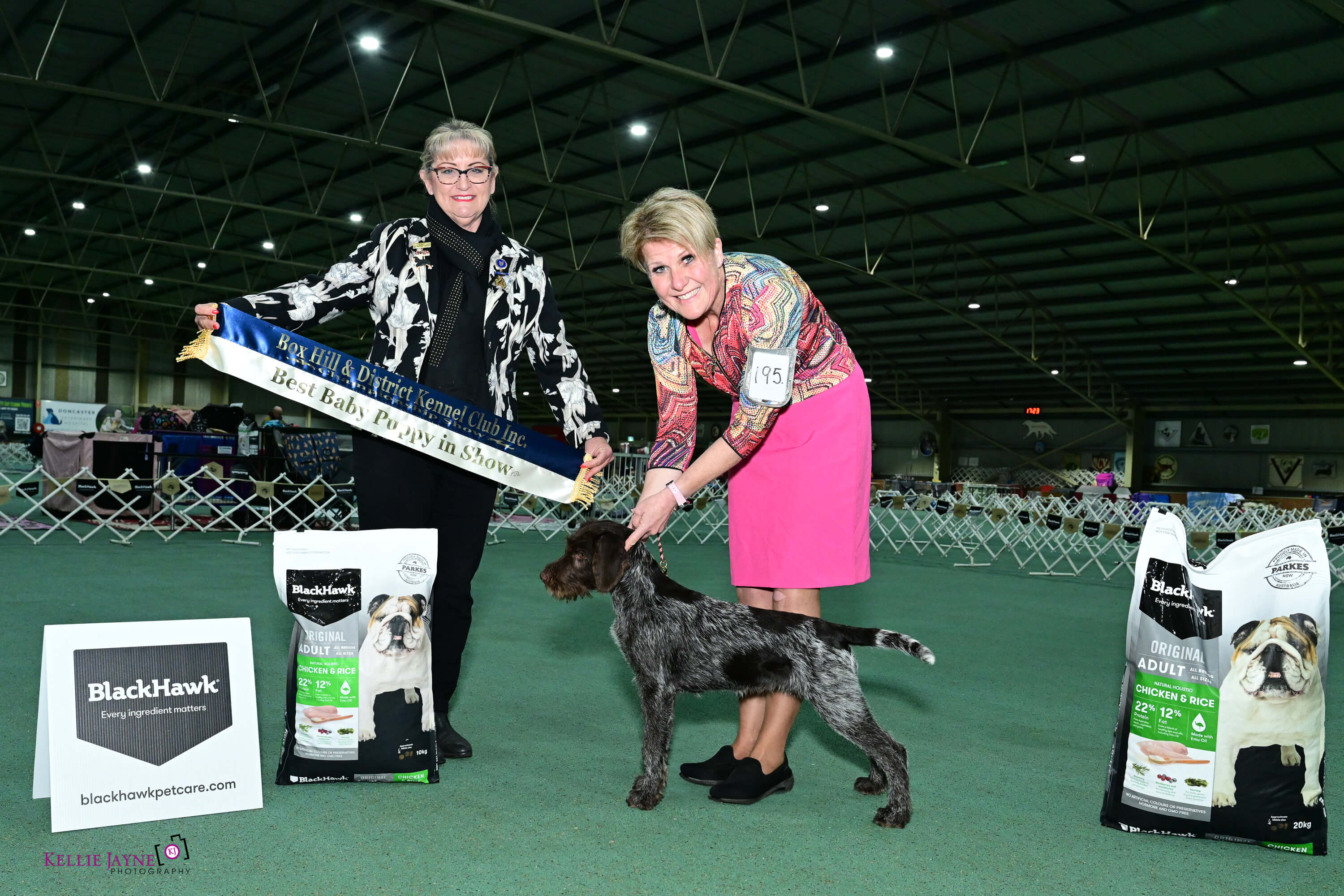 Hotwyr Sage Against Th Machine German Wirehaired Pointer - Owned by ...