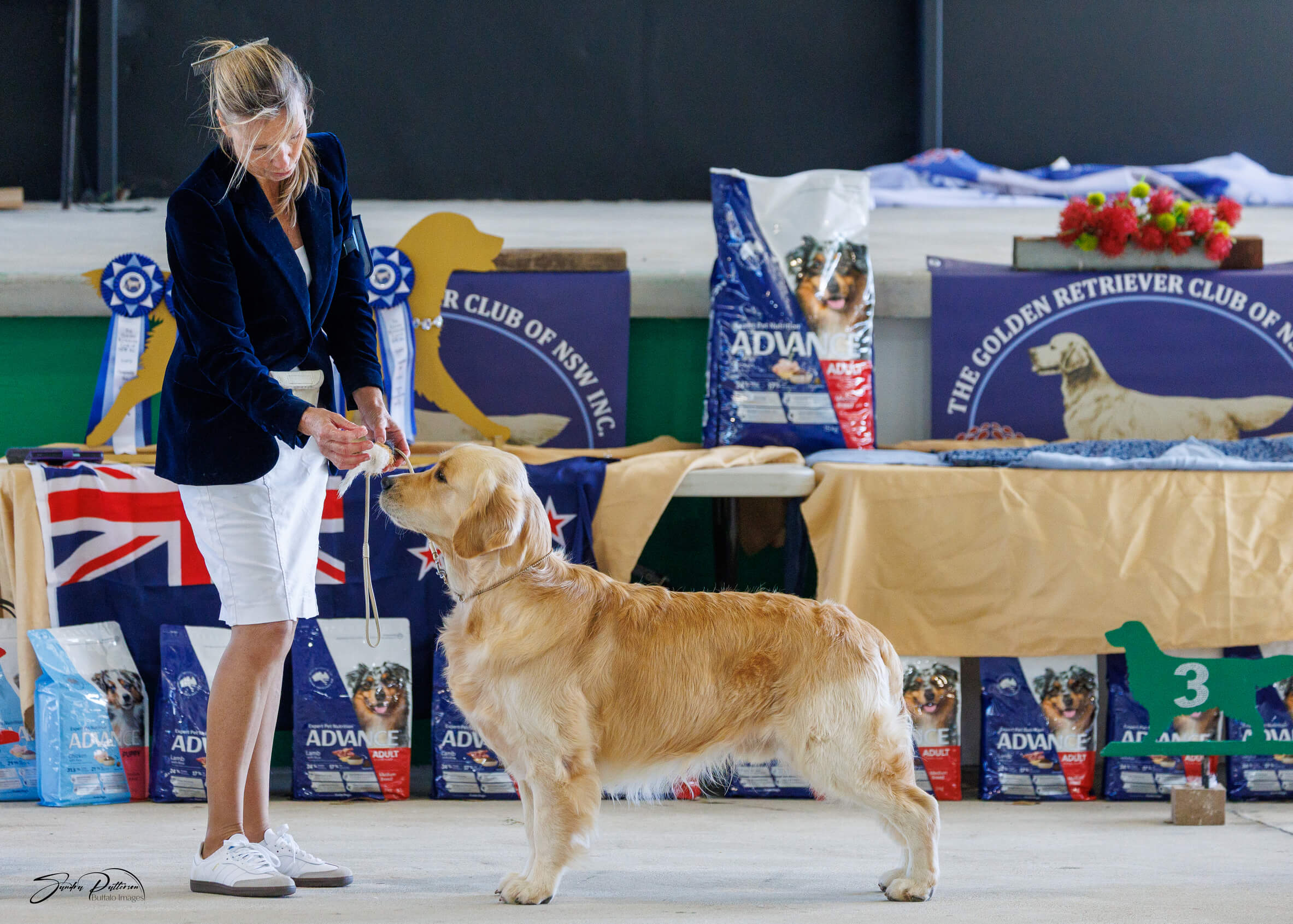 Eurogold Hard Act to Follow (AI) Golden Retriever - Owned by Karin Connell