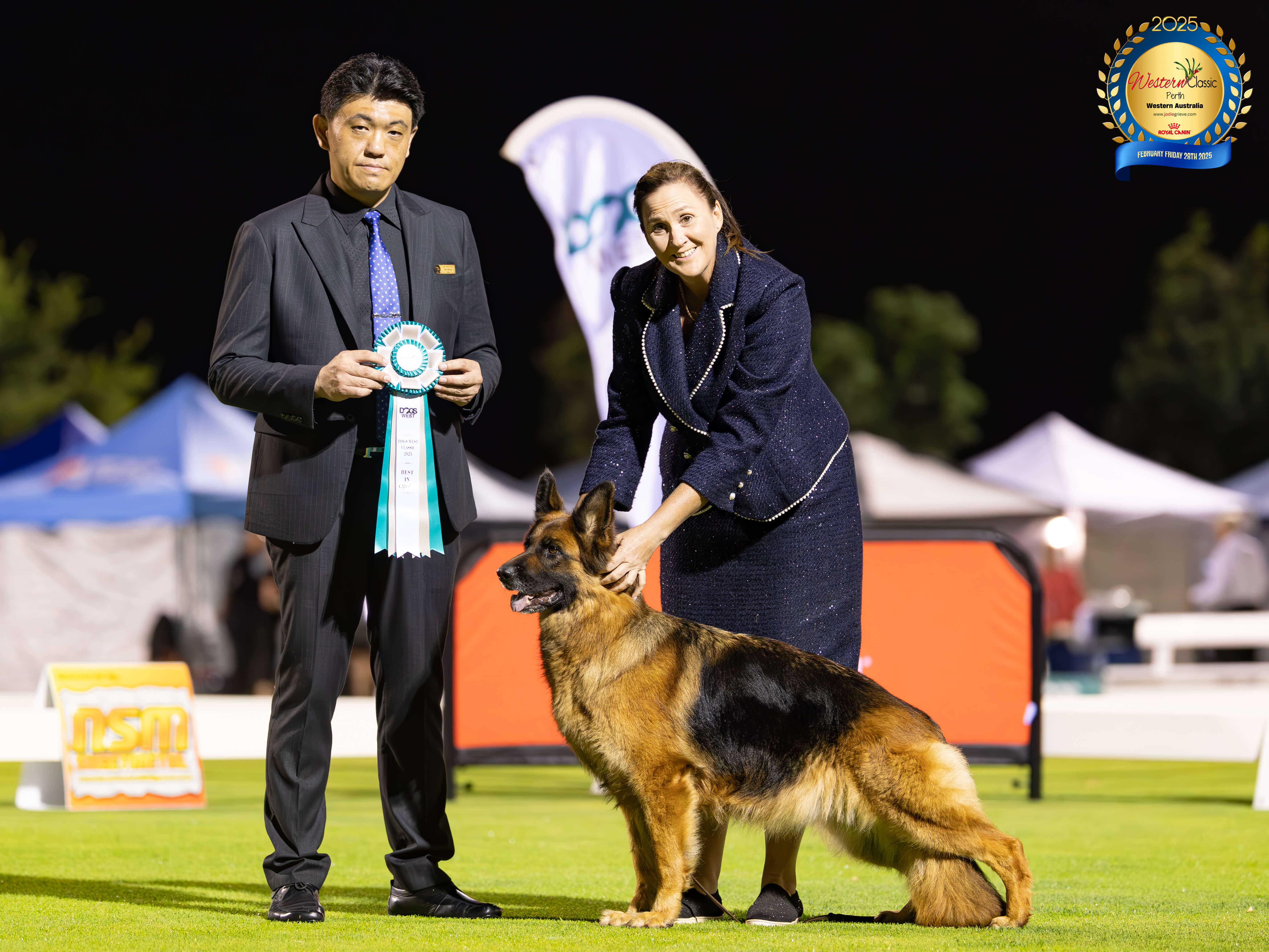 Smiken Gifted Rose German Shepherd Dog (Long Stock Coat) - Owned by T ...
