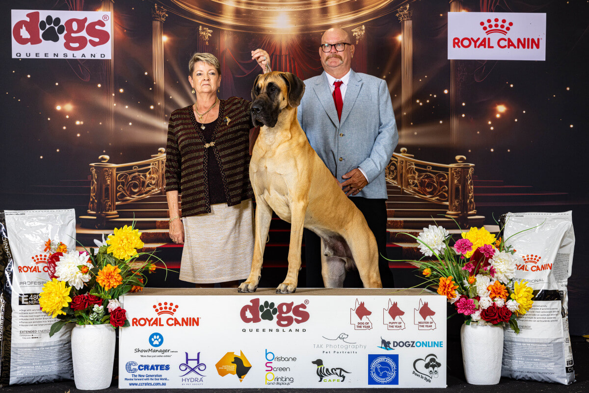 Multi BIS, Multi RUBIS, BISS, RUBISS Aust Ch Hi-Air Lockheed Martin ...