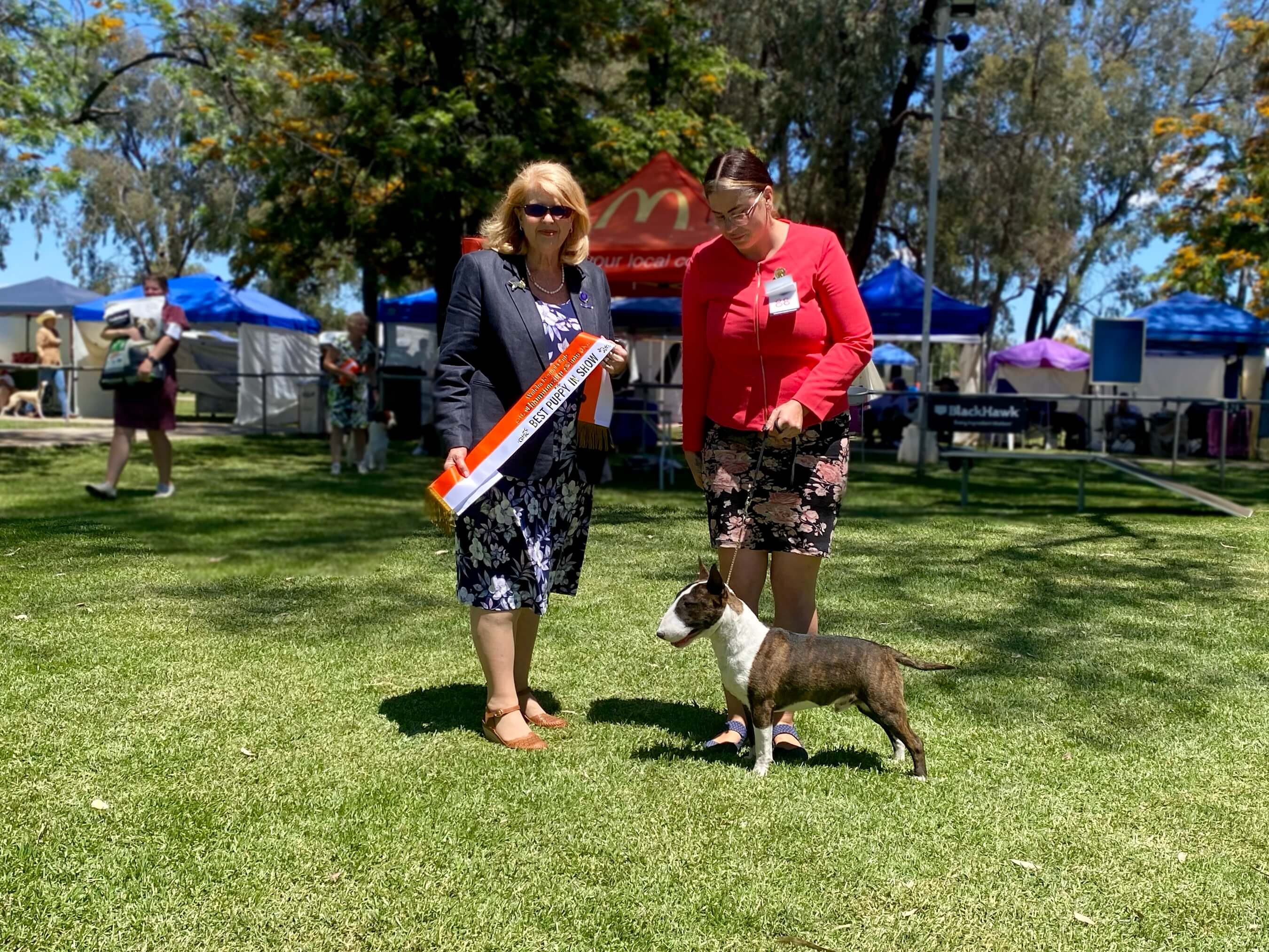 BIS RBISS Aust Ch Chrysaliss Valbaran Prince ROM N.SPRD Bull Terrier ...