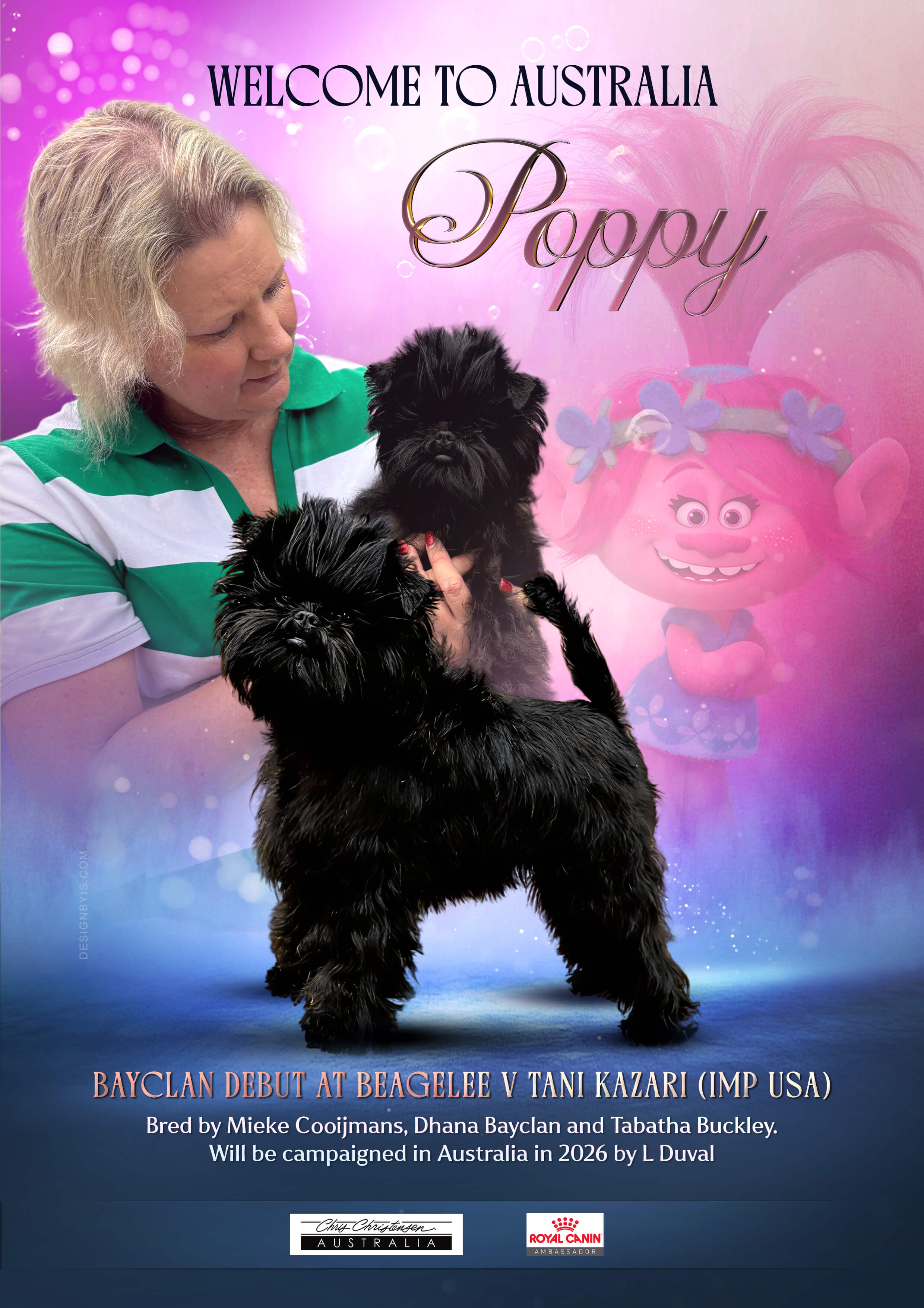 CH Bayclan Debut Beagelee V Tani Kazari (Imp USA) Affenpinscher - Owned ...