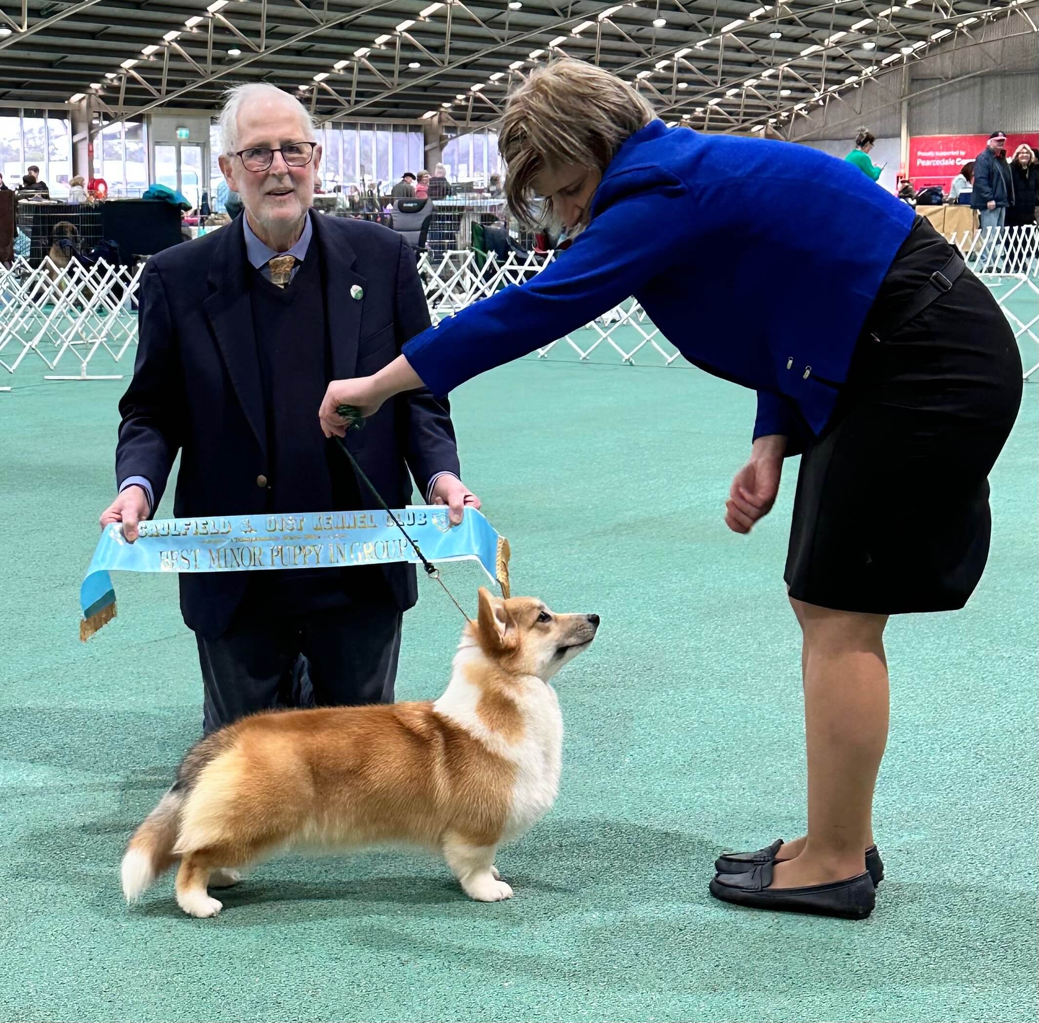 Antudor Keep The Dream Alive at Lakamari Welsh Corgi (Pembroke) - Owned ...