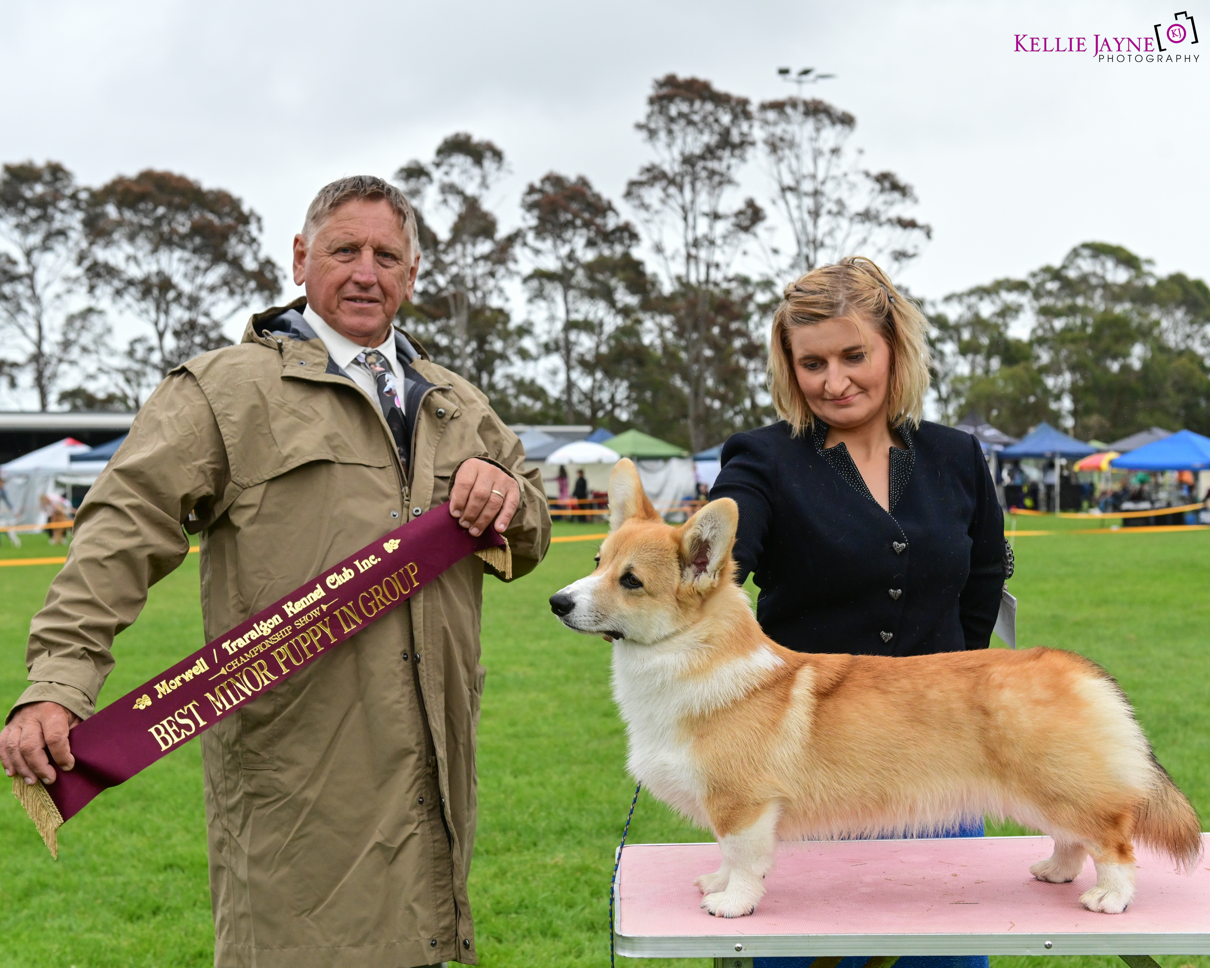 Aust Ch Lakamari Cognac N Stardust Welsh Corgi (Pembroke) - Owned by ...