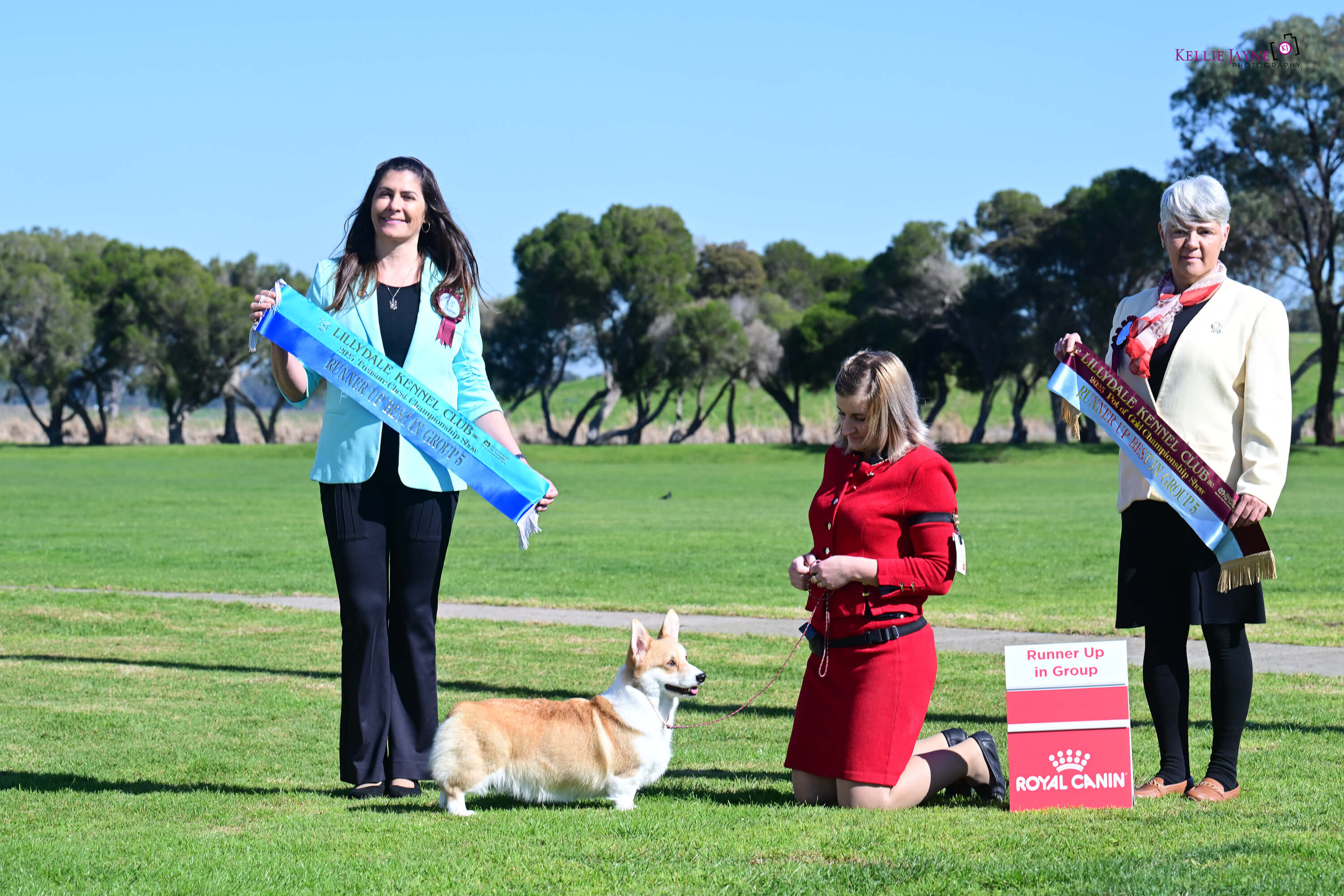 MBIS Supreme Ch Lakamari Southern Cognac NBT Welsh Corgi (Pembroke ...