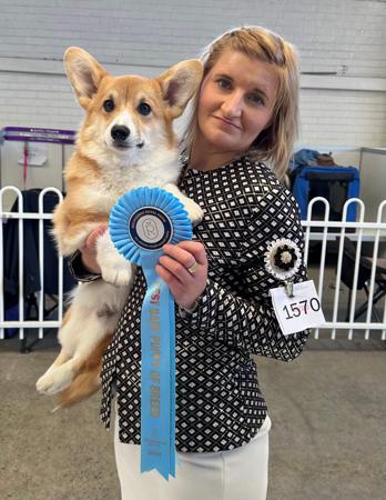 LAKAMARI | Registered Dog Breeder in VIC