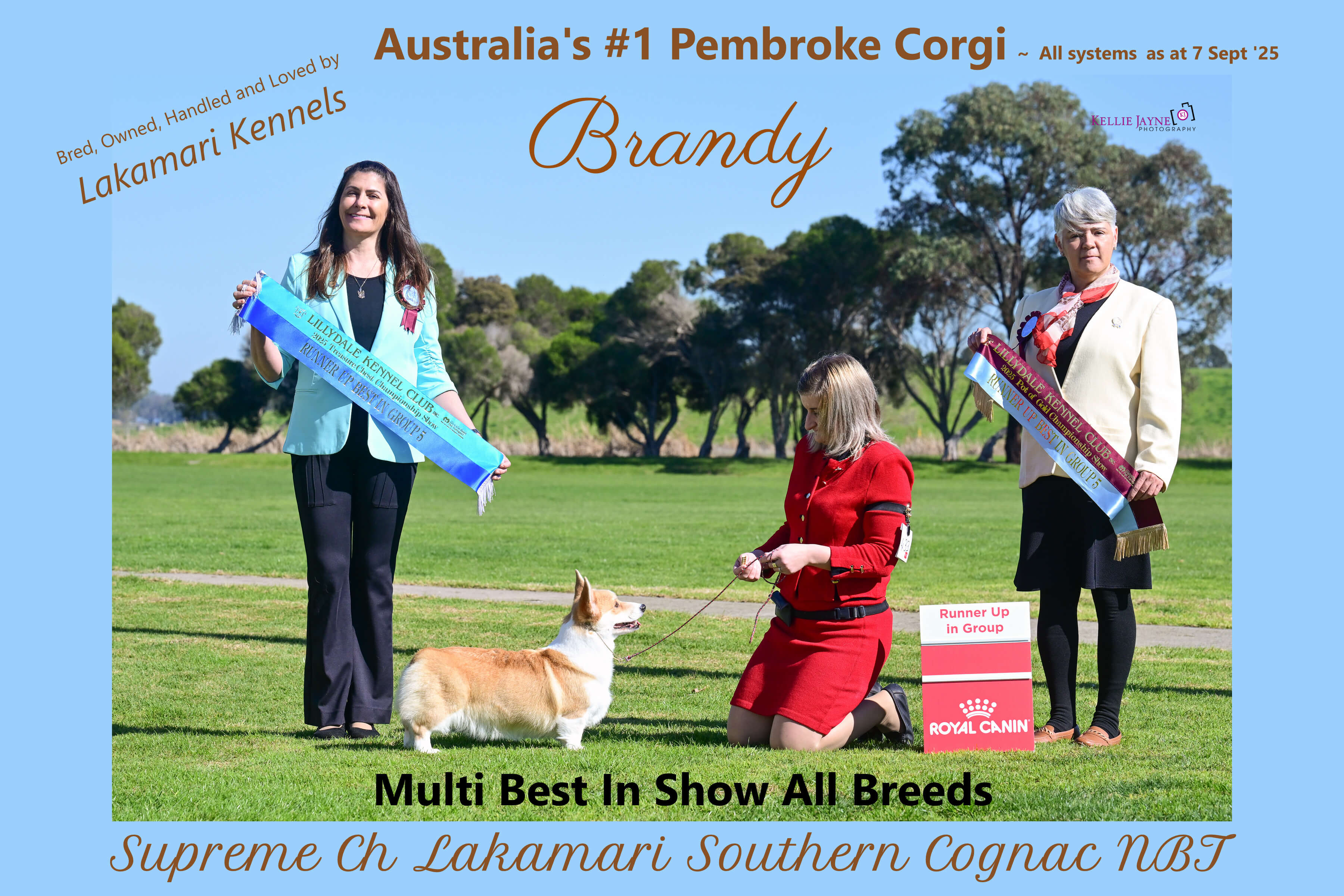 MBIS Supreme Ch Lakamari Southern Cognac NBT Welsh Corgi (Pembroke ...